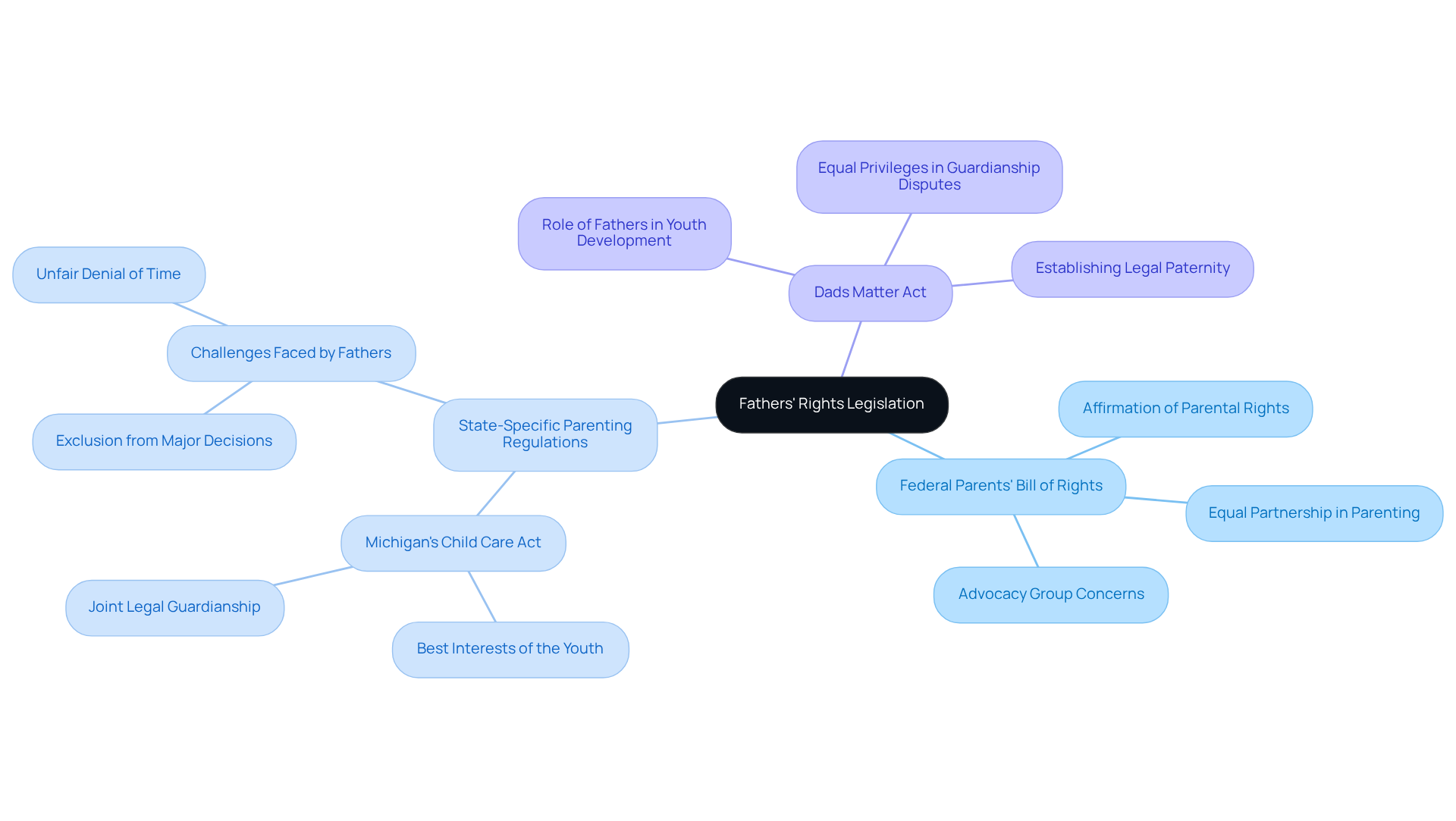 The central node represents the overarching theme of fathers' rights, while the branches show different laws and their impacts. Each color-coded branch helps you quickly identify which legislation is being discussed and how it relates to fathers' rights.