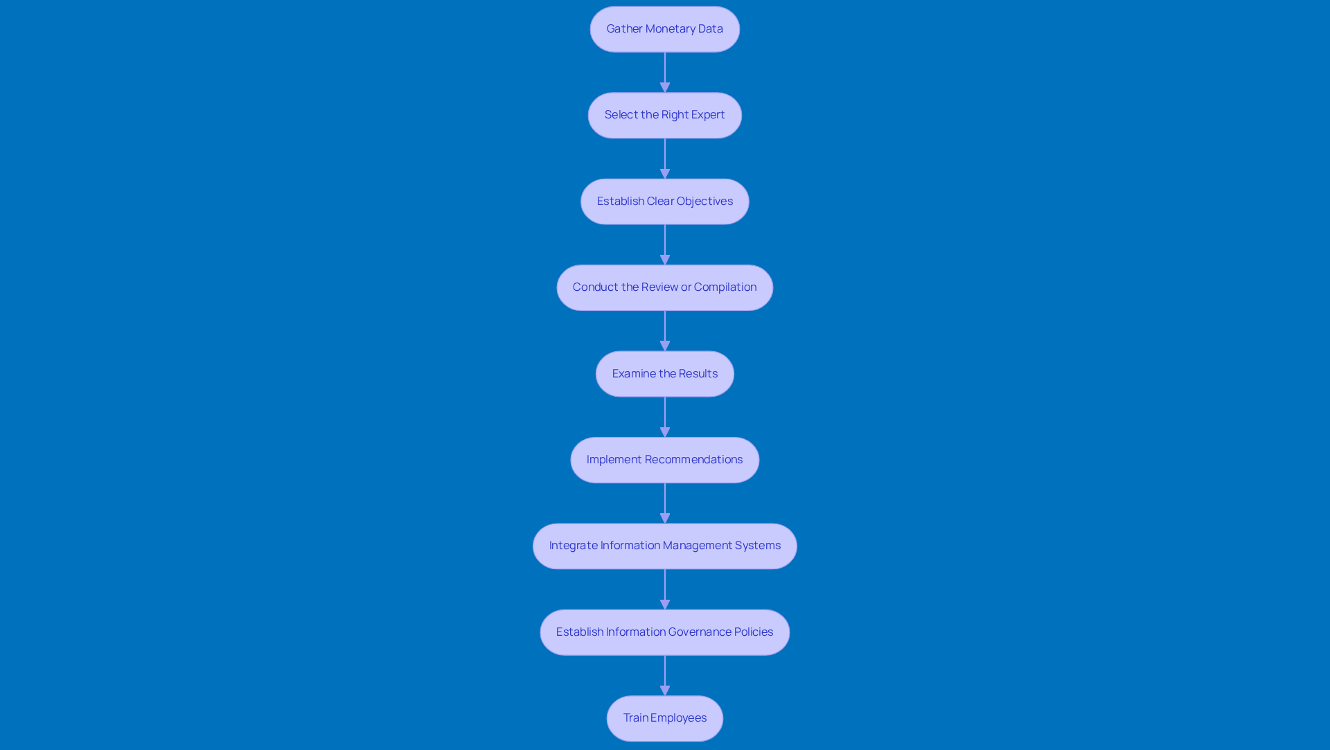 Each box represents a step in the process of implementing reviews and compilations. Follow the arrows to see how each step leads to the next, ensuring a comprehensive approach to financial practices.