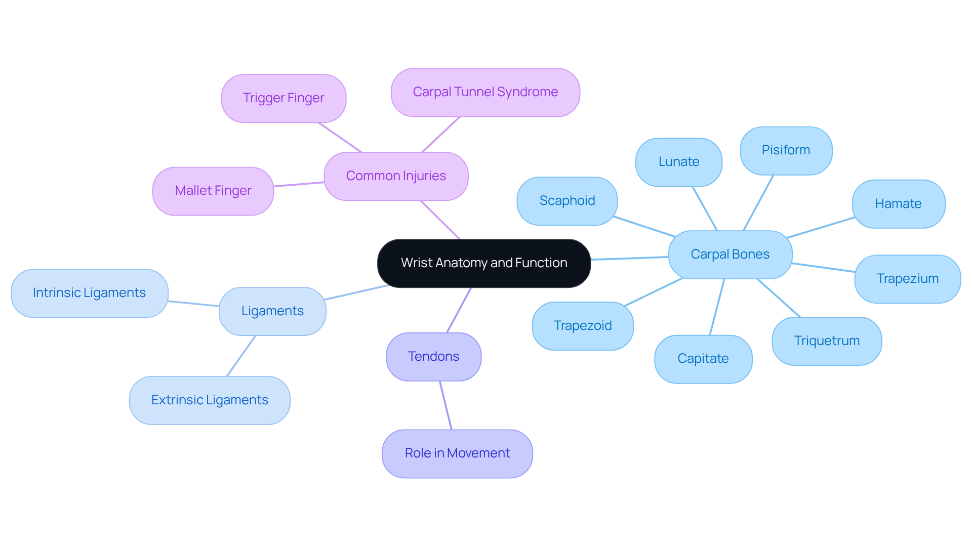 This mindmap illustrates the complex structure of the wrist. Start at the center with 'Wrist Anatomy and Function', then explore the branches to learn about the carpal bones, ligaments, and tendons. Each branch shows how these components work together to support wrist movement and health.