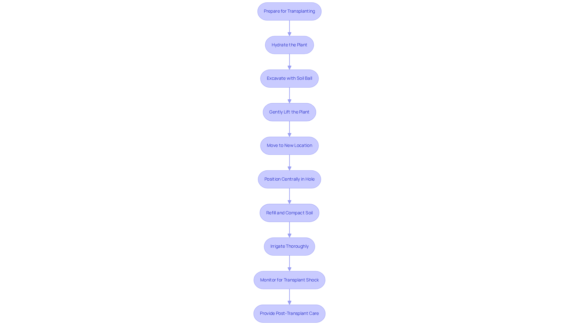 Follow the arrows to see each step in the transplanting process. Each box represents an action you need to take, from preparing the plant to ensuring its care after transplanting.