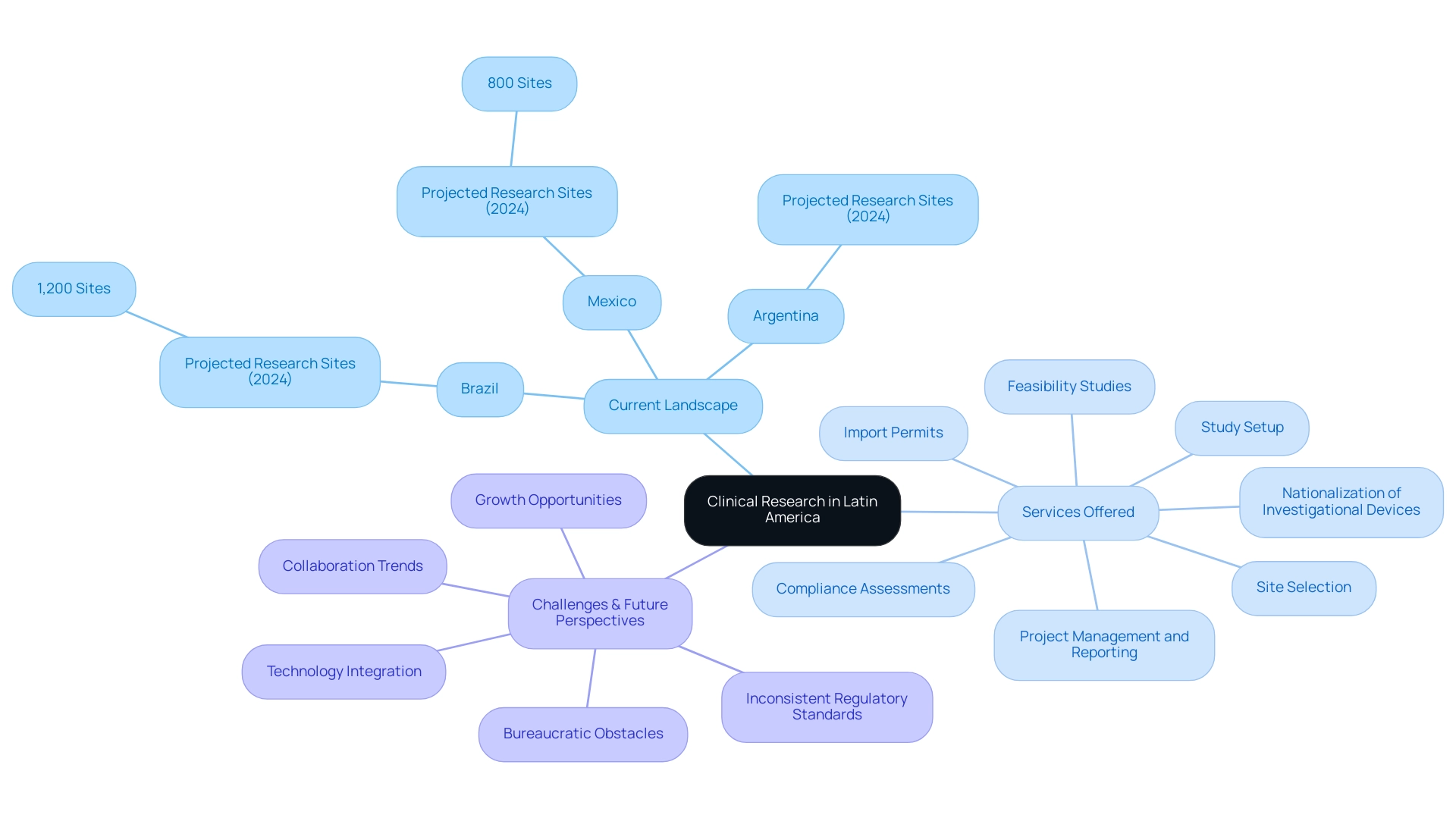 The central node represents the overall topic, with branches indicating the current landscape, services offered, and challenges & future perspectives, each color-coded for clarity.