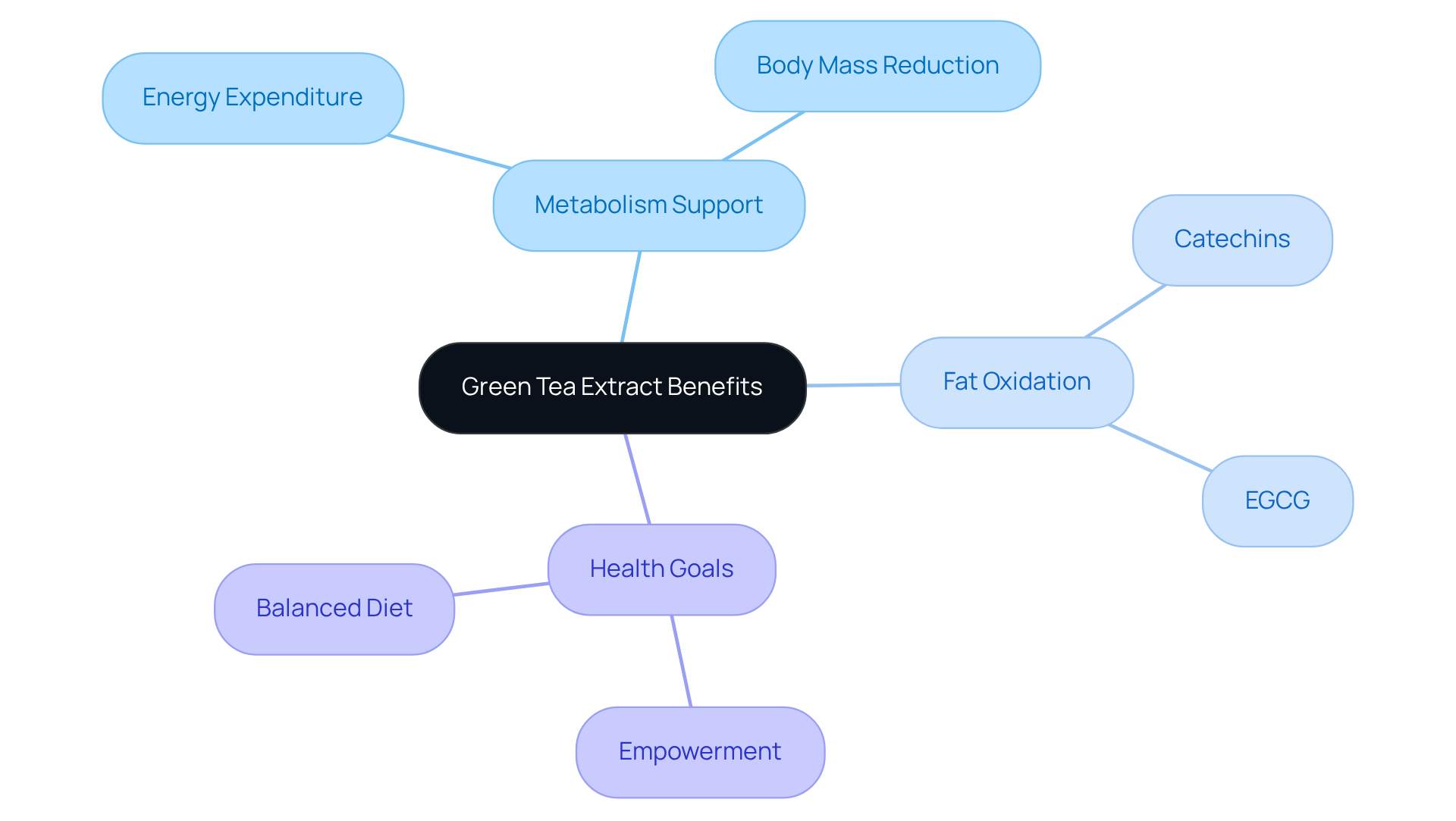 This mindmap shows how green tea extract can help with weight management. Start at the center with the extract, then follow the branches to see how it supports metabolism, aids in fat burning, and helps you achieve your health goals. This mindmap shows how green tea extract can help with weight management. Start at the center with the extract, then follow the branches to see how it supports metabolism, aids in fat burning, and helps you achieve your health goals.