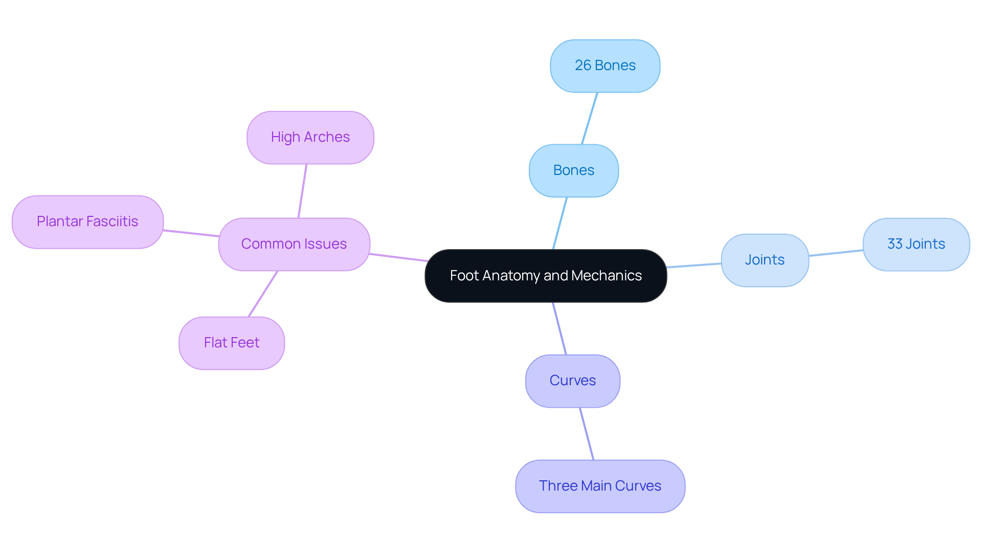 This mindmap starts with the main topic of foot anatomy and mechanics at the center. Each branch represents a different aspect of the foot's structure and function, helping you see how everything connects. Follow the branches to explore bones, joints, curves, and common issues that can affect foot health. This mindmap starts with the main topic of foot anatomy and mechanics at the center. Each branch represents a different aspect of the foot's structure and function, helping you see how everything connects. Follow the branches to explore bones, joints, curves, and common issues that can affect foot health.