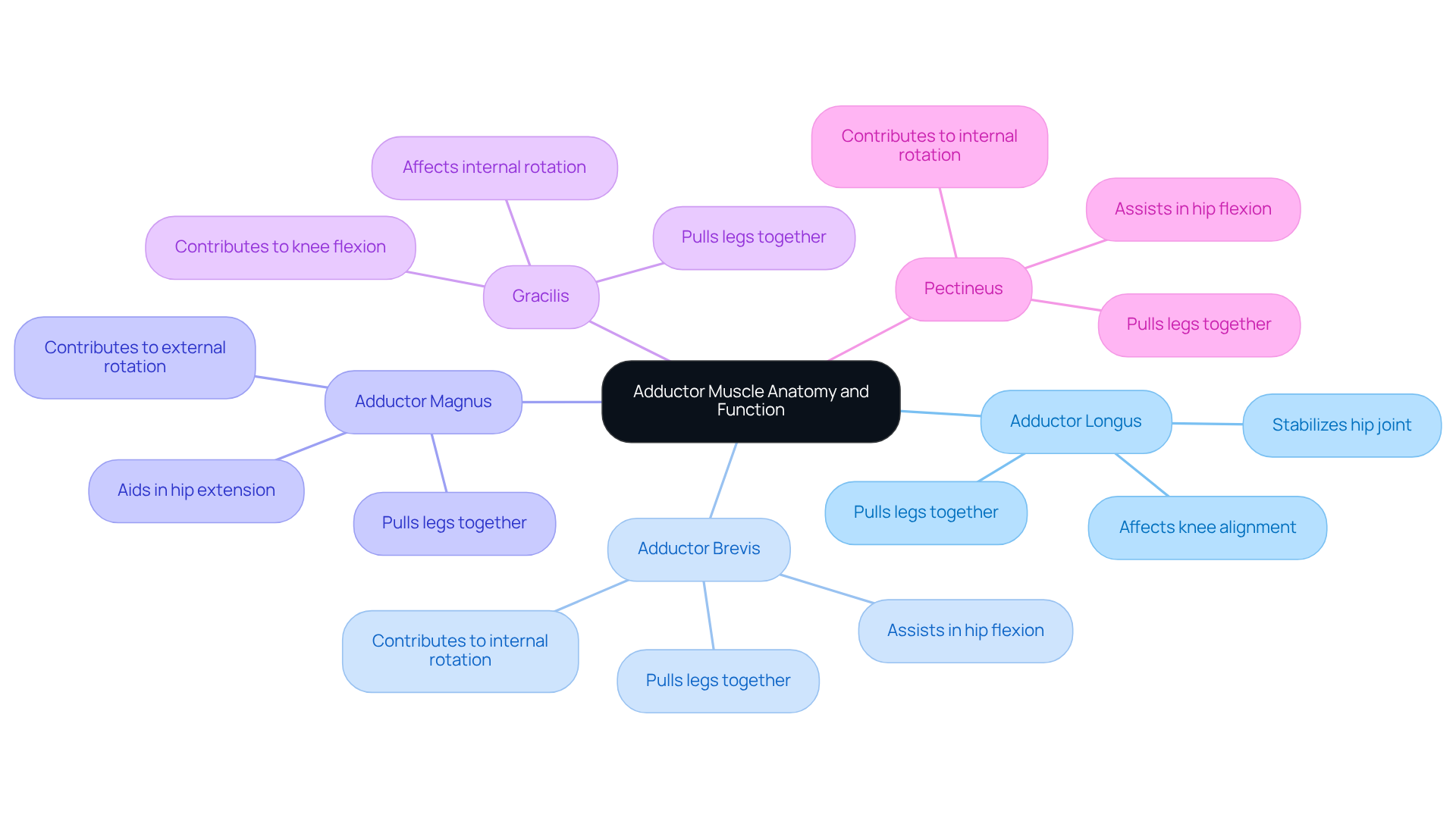This mindmap illustrates the key adductor muscles and their roles in leg movement and joint stability. Each branch represents a muscle, and the sub-branches explain how they contribute to your body's mechanics. Understanding these connections can help you address issues like knee pain. This mindmap illustrates the key adductor muscles and their roles in leg movement and joint stability. Each branch represents a muscle, and the sub-branches explain how they contribute to your body's mechanics. Understanding these connections can help you address issues like knee pain.