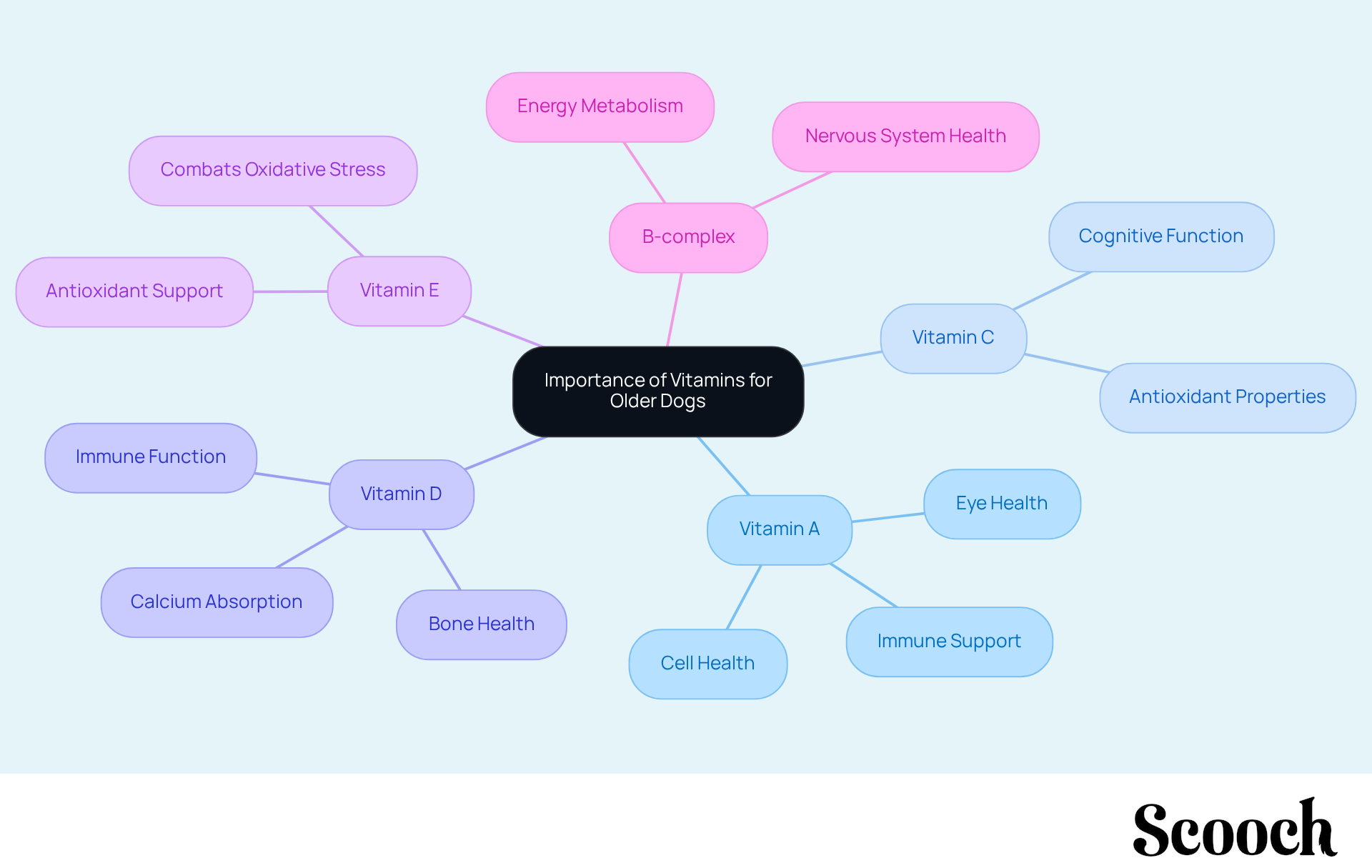 The center shows the main topic, and each branch represents a vitamin. Follow the branches to learn how each vitamin supports your dog's health. The center shows the main topic, and each branch represents a vitamin. Follow the branches to learn how each vitamin supports your dog's health.