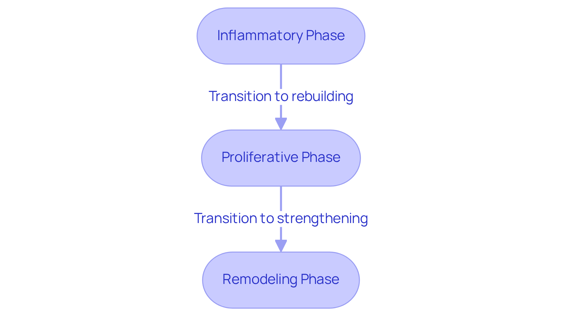This flowchart outlines the journey of tendon healing. Each box represents a phase: the Inflammatory Phase is where the body starts to heal, the Proliferative Phase focuses on rebuilding tissue, and the Remodeling Phase strengthens the new tissue. Follow the arrows to see how each phase leads to the next.