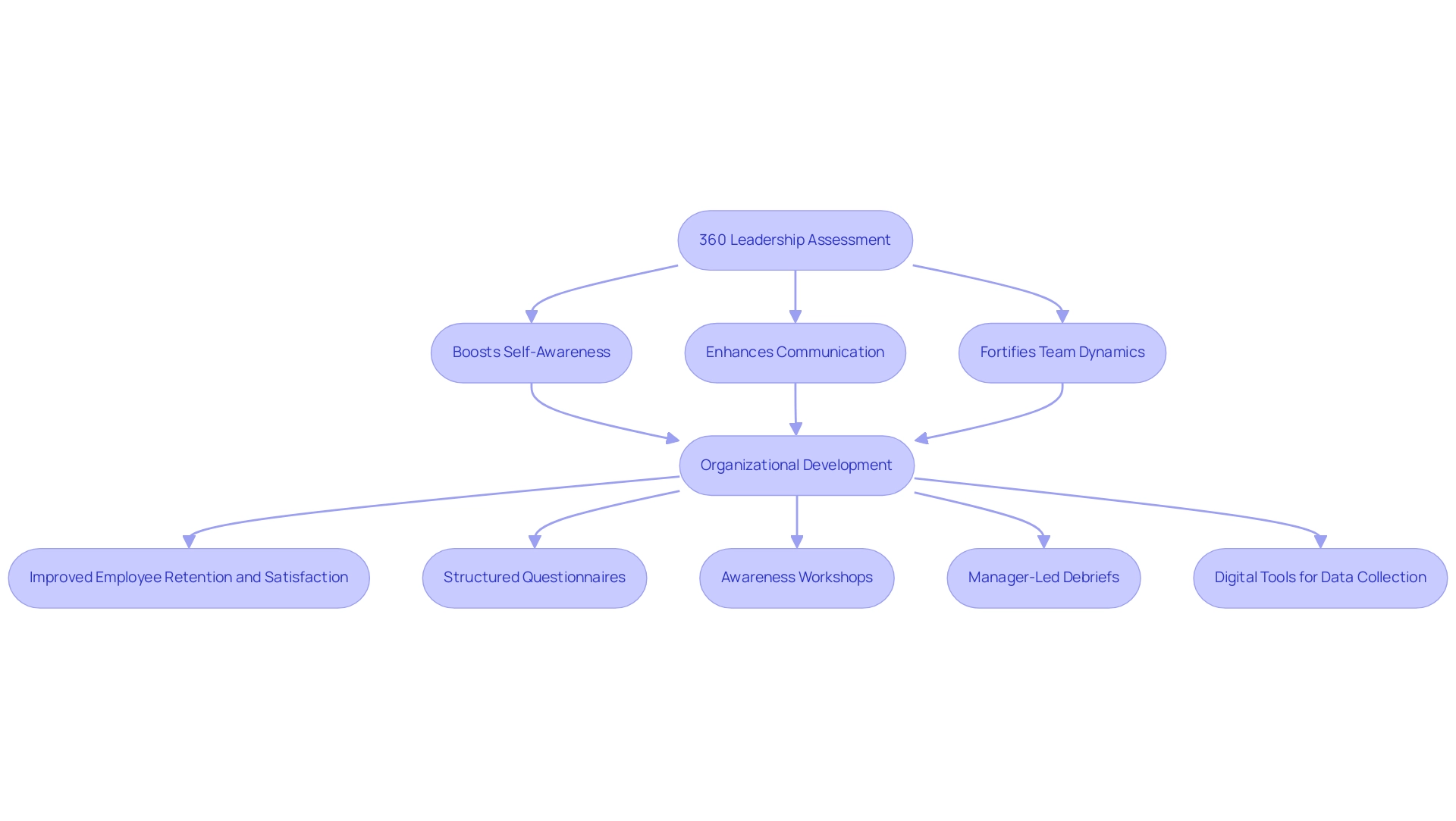 Boxes represent different aspects of the 360 leadership assessment process; colors differentiate between benefits (blue) and best practices (green).