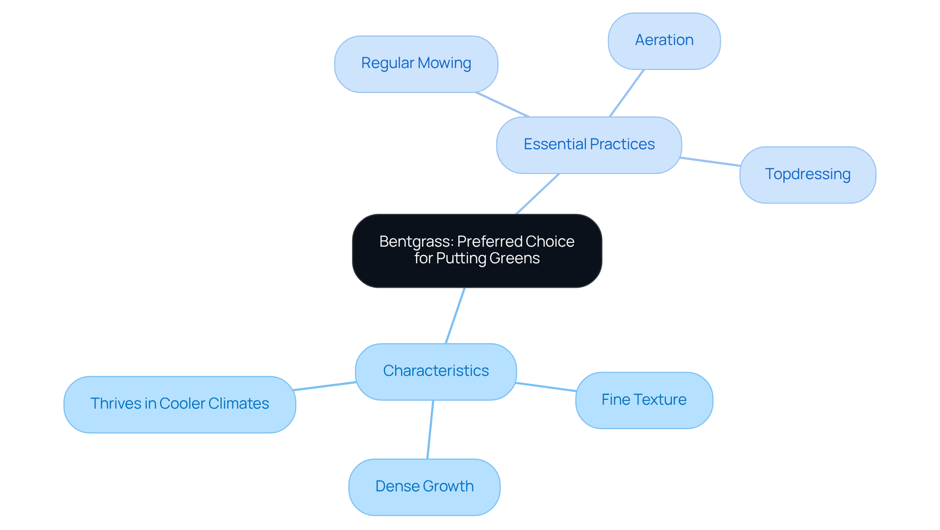 The center shows Bentgrass as the main topic, with branches illustrating its key characteristics and the essential practices needed to maintain it. Follow the branches to see how each aspect contributes to its effectiveness on putting greens. The center shows Bentgrass as the main topic, with branches illustrating its key characteristics and the essential practices needed to maintain it. Follow the branches to see how each aspect contributes to its effectiveness on putting greens.