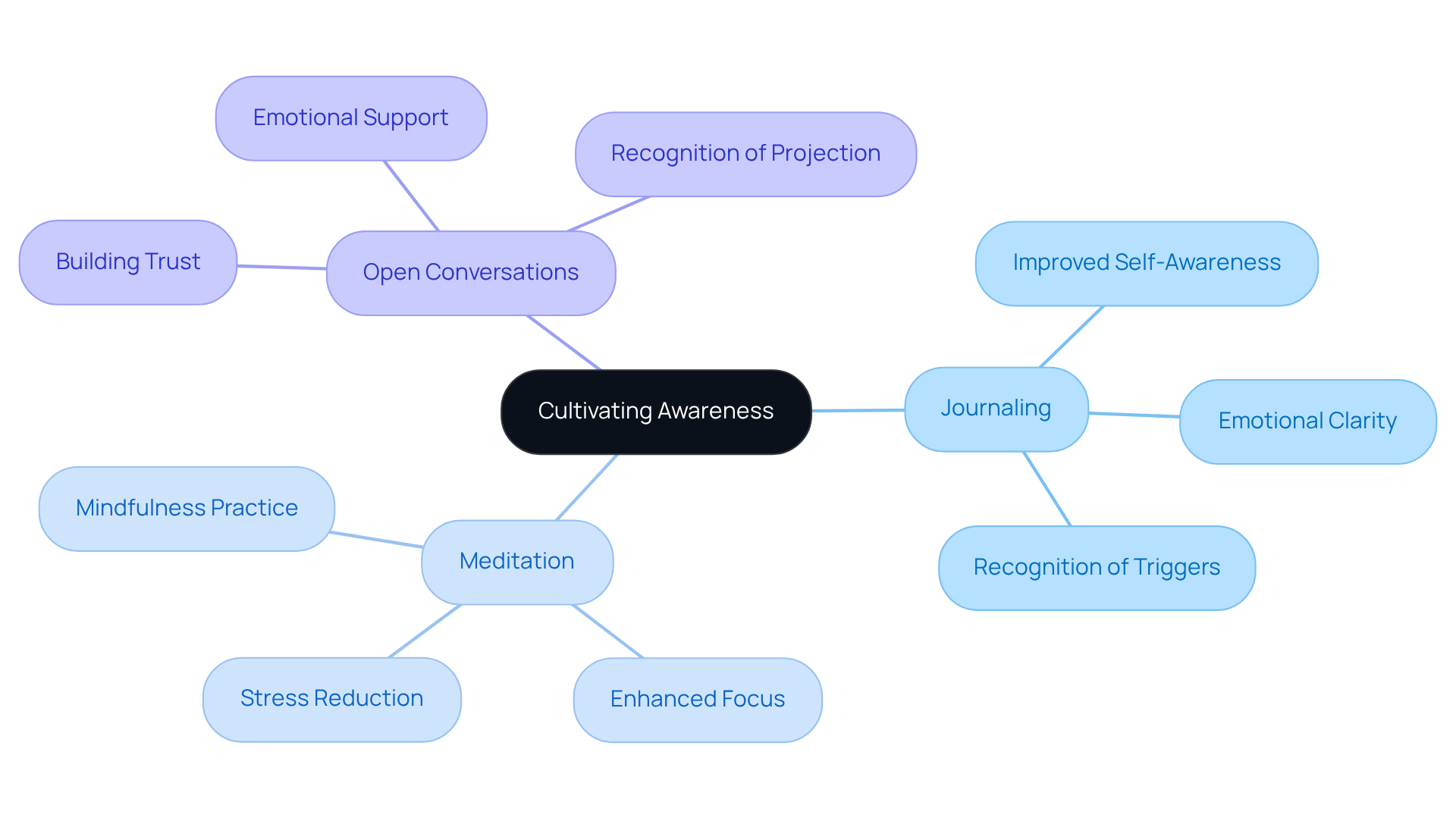 The central node represents the main concept, while the branches show different practices that support this journey. Follow the branches to see how each practice contributes to your understanding and emotional growth. The central node represents the main concept, while the branches show different practices that support this journey. Follow the branches to see how each practice contributes to your understanding and emotional growth.