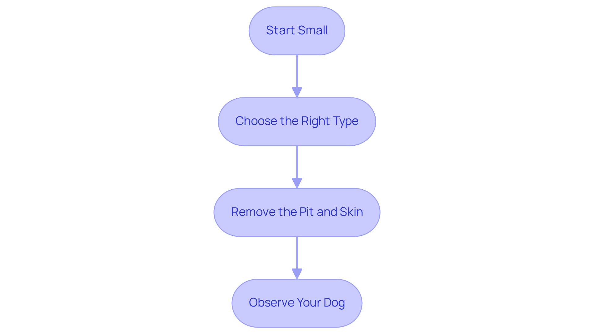 Each box represents a step to safely introduce avocado to your dog — follow the arrows to see the proper order of actions for ensuring your dog's health.