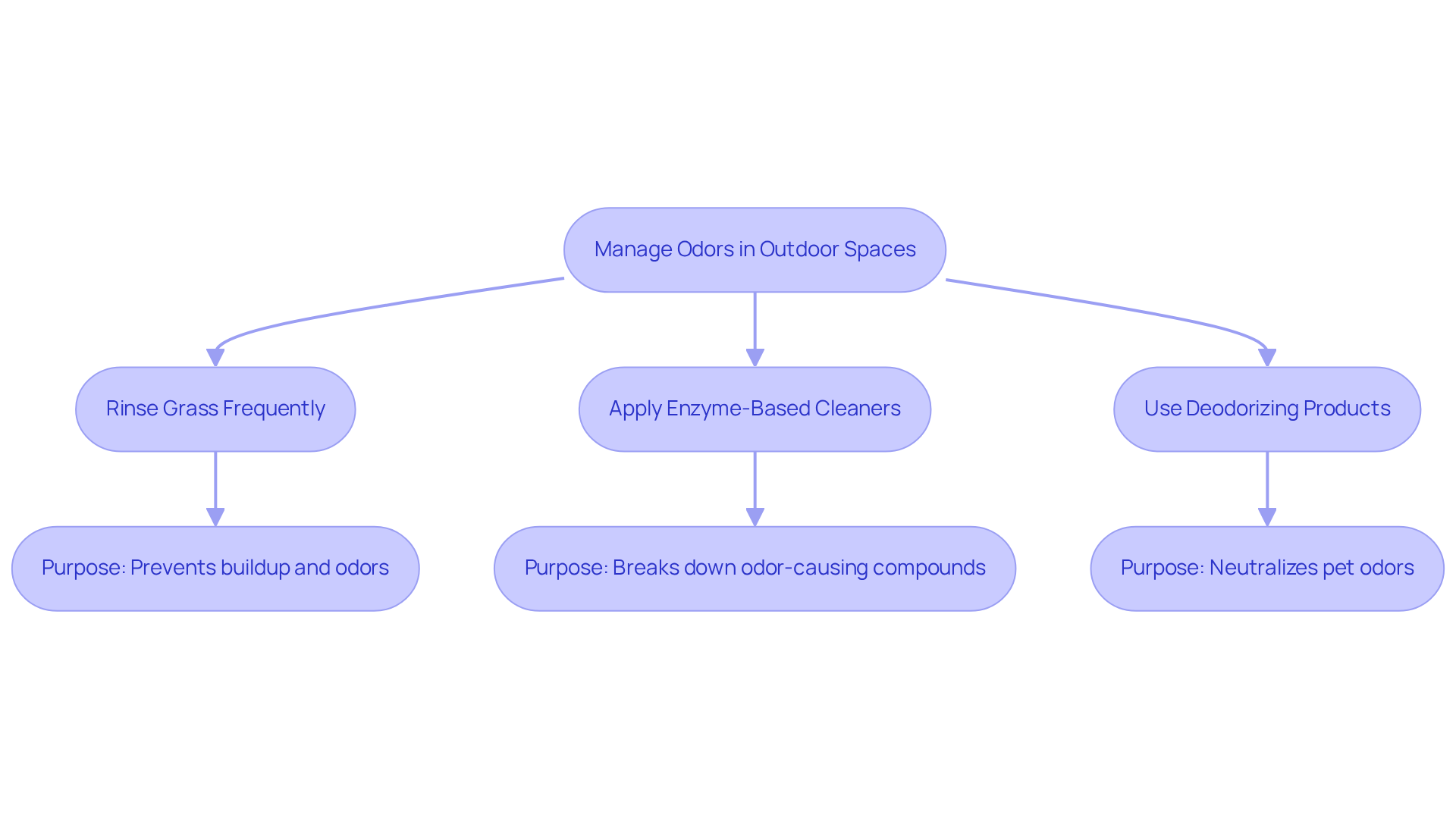 Follow the arrows to see the steps you can take to keep your outdoor space fresh and odor-free. Each action helps manage pet waste and odors effectively.