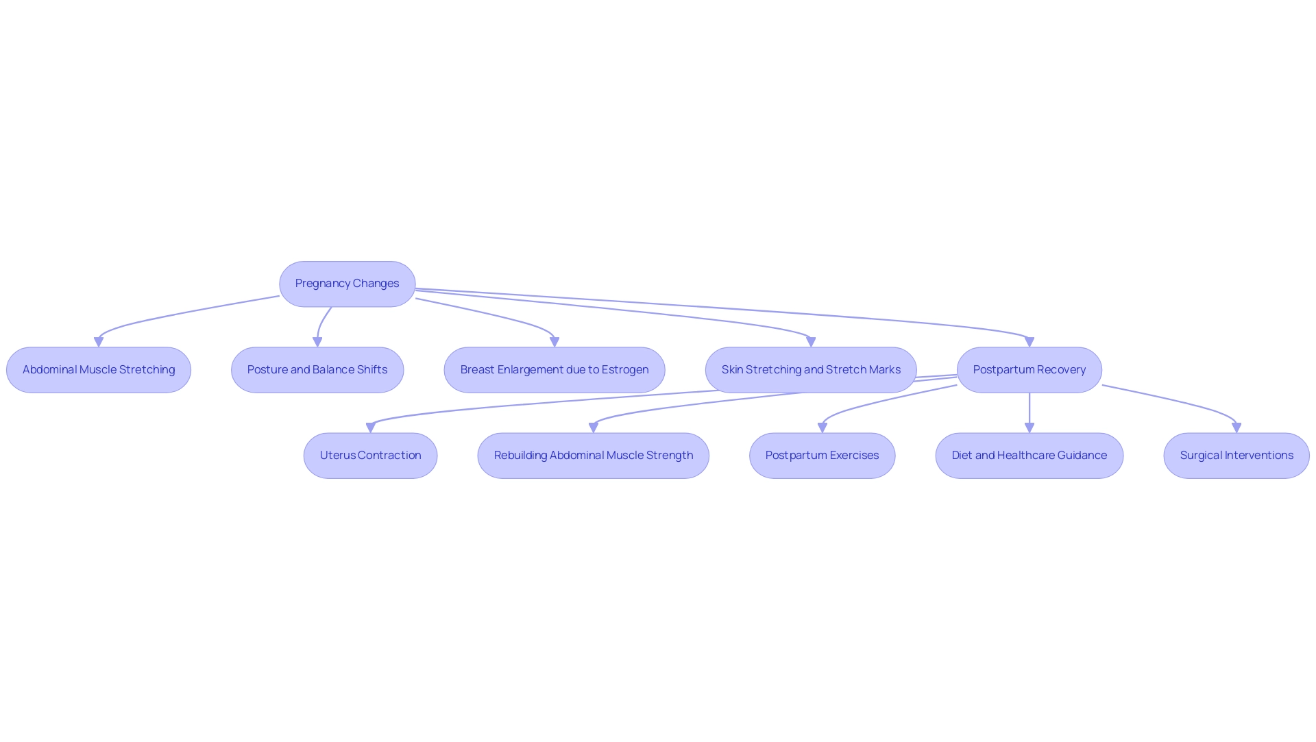 Each box represents a change or recovery step, with arrows indicating the flow and relationship between pregnancy changes, postpartum recovery, and supportive interventions.