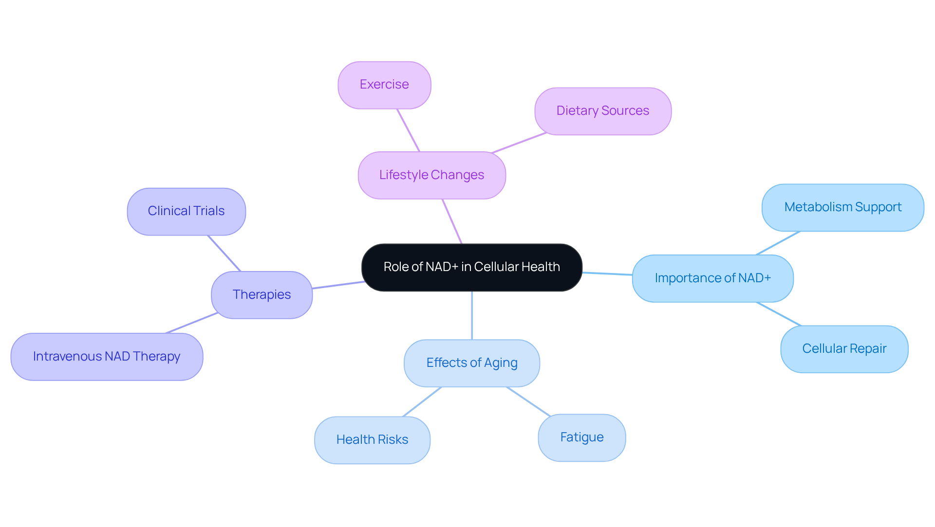 This mindmap starts with NAD+ at the center, branching out to show its importance, how aging affects it, potential therapies being explored, and lifestyle changes that can help maintain its levels. Each branch represents a key area of focus, making it easy to see how they all connect to the central theme.