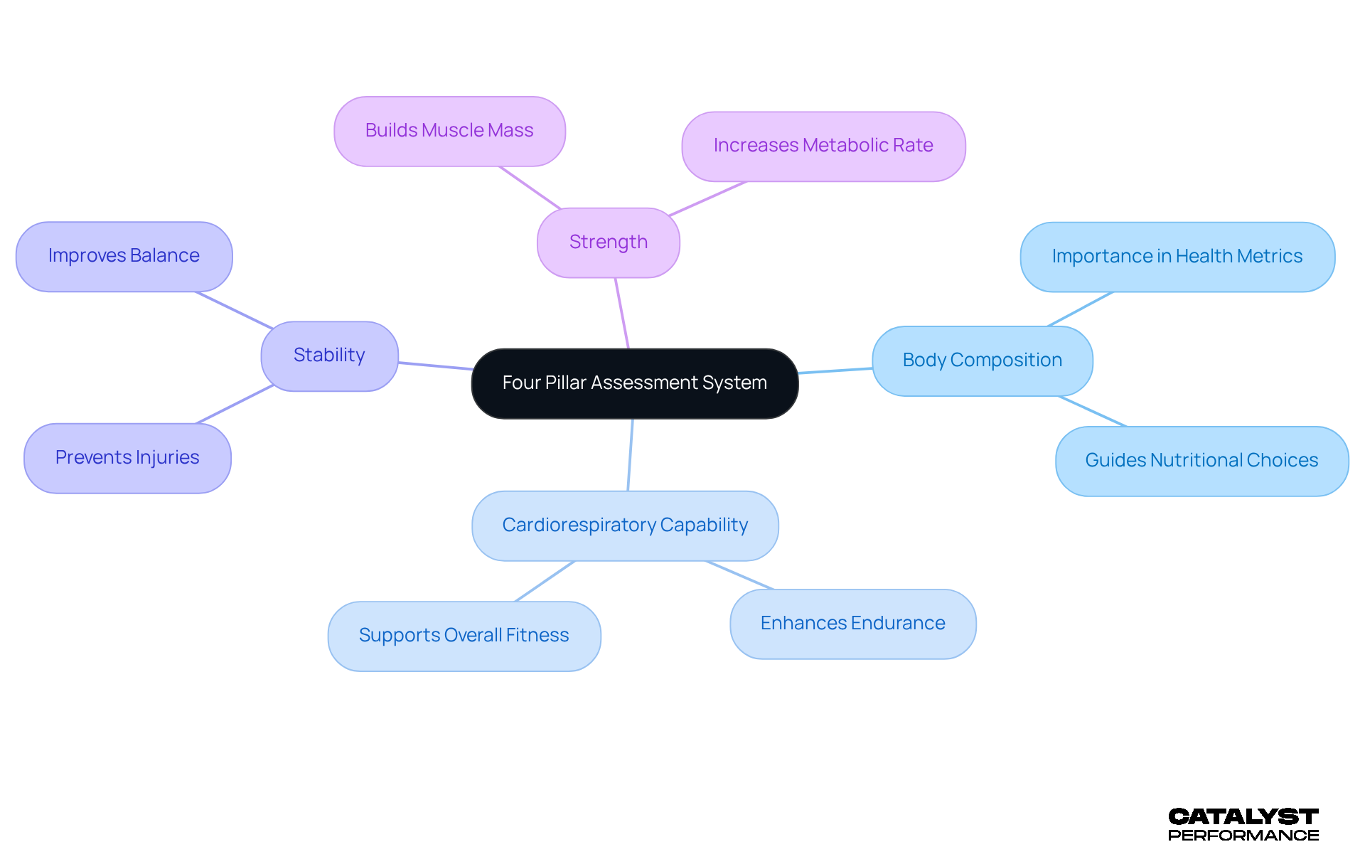 The center represents the assessment system, while the branches show the four key areas of focus. Each area is essential for creating a tailored training program that supports your health journey.