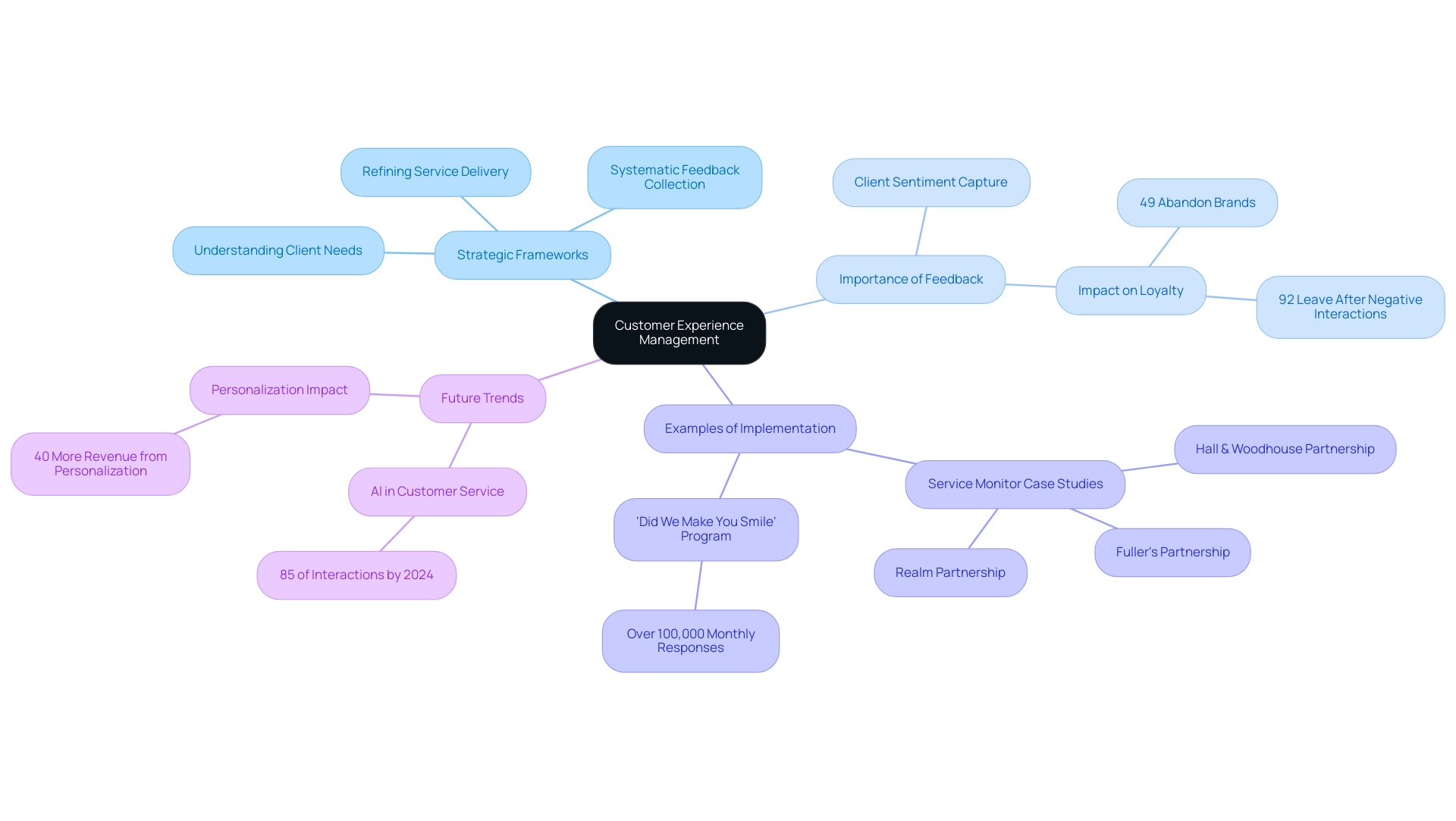 The central node represents overall CEM, with branches illustrating strategic frameworks, feedback importance, implementation examples, and future trends, each color-coded for clarity.