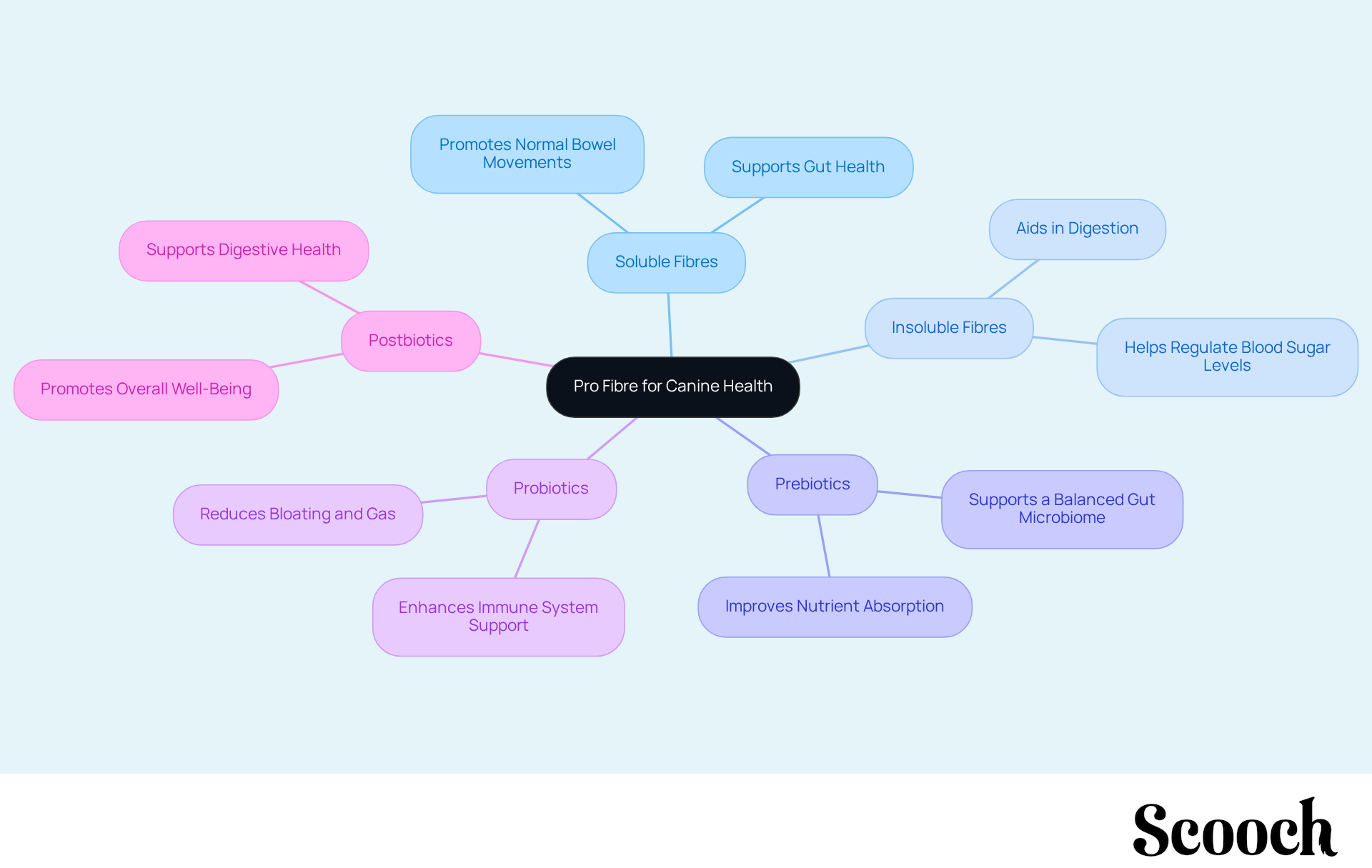 The central node represents Pro Fibre's role in dog health. Each branch shows a different component of Pro Nutrient, with sub-branches detailing their benefits to help you see how they work together for your dog's well-being.