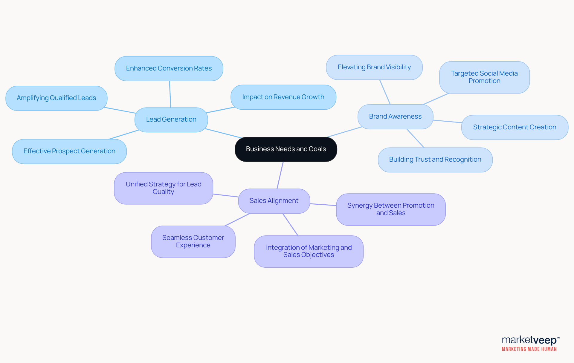 The center represents the overall objective of identifying business needs. Each branch shows a specific area to focus on, with additional details under each to explain its importance.