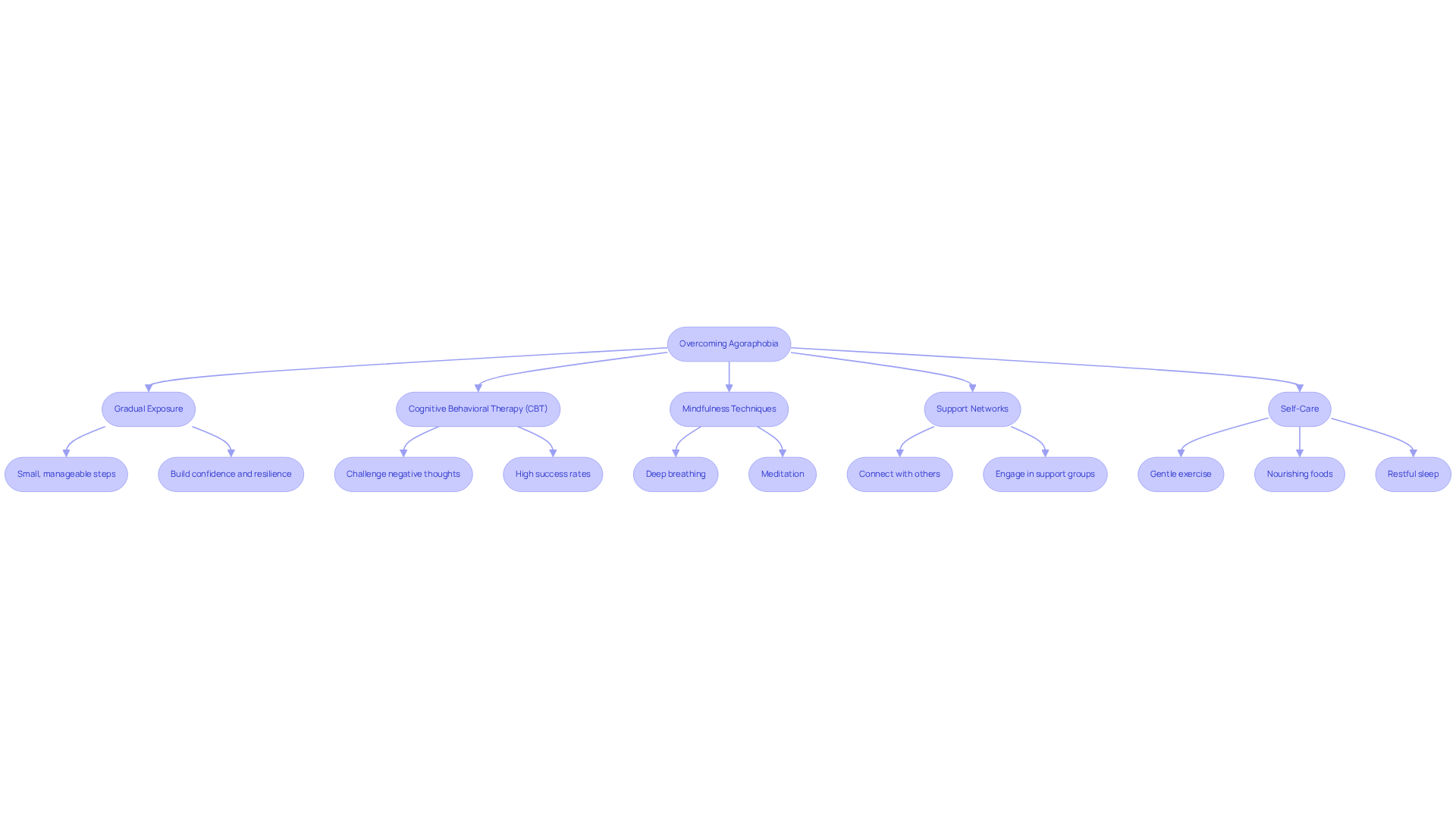 This flowchart outlines the key strategies for overcoming agoraphobia. Each box represents a different approach, and the arrows show how these strategies connect to the overall goal of healing. Follow the flow to see how each step can help you on your journey.
