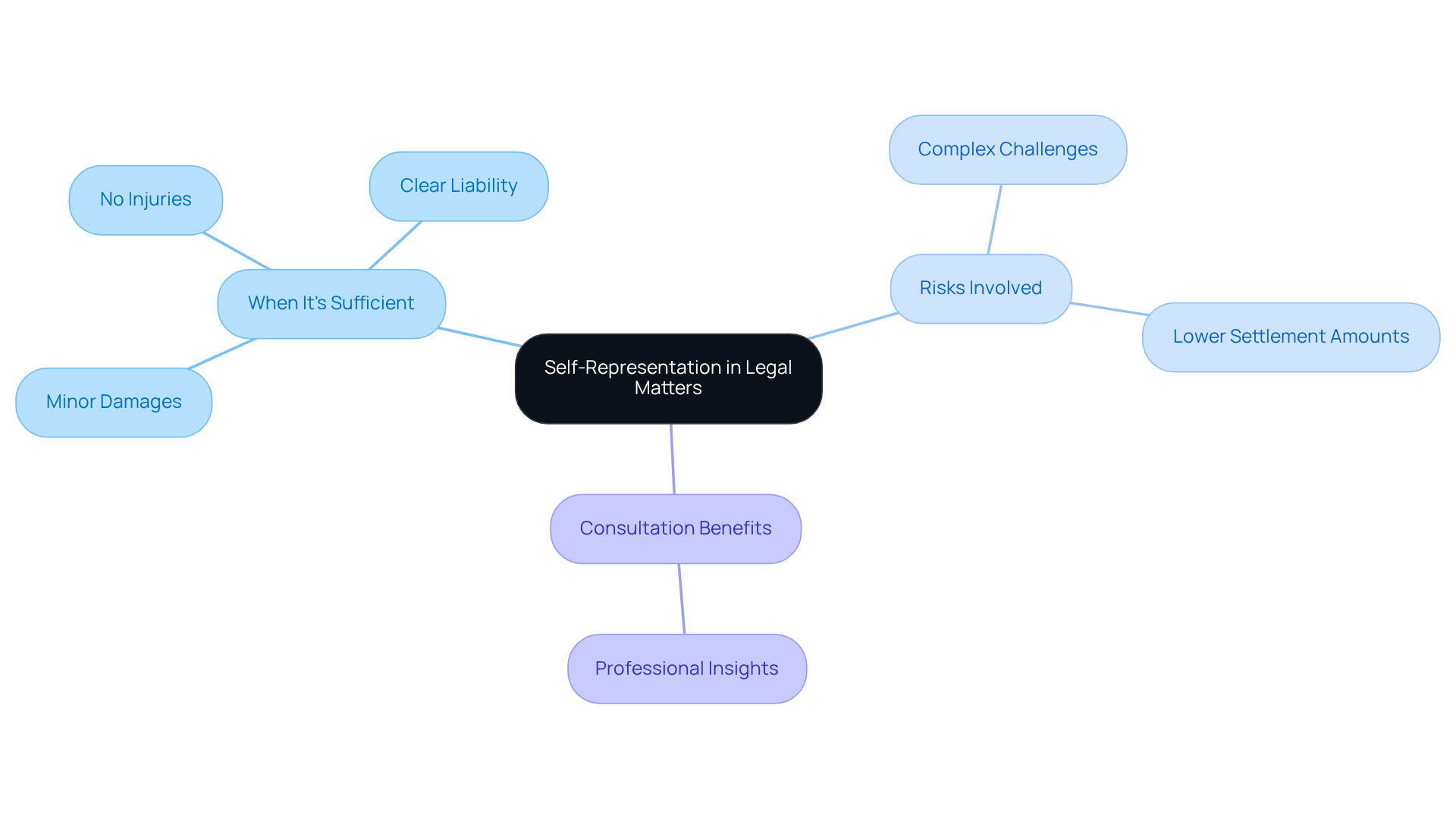 The central node represents the main topic of self-representation. Each branch shows different aspects: when it might work, the risks involved, and the benefits of consulting professionals. Follow the branches to explore how these ideas connect. The central node represents the main topic of self-representation. Each branch shows different aspects: when it might work, the risks involved, and the benefits of consulting professionals. Follow the branches to explore how these ideas connect.