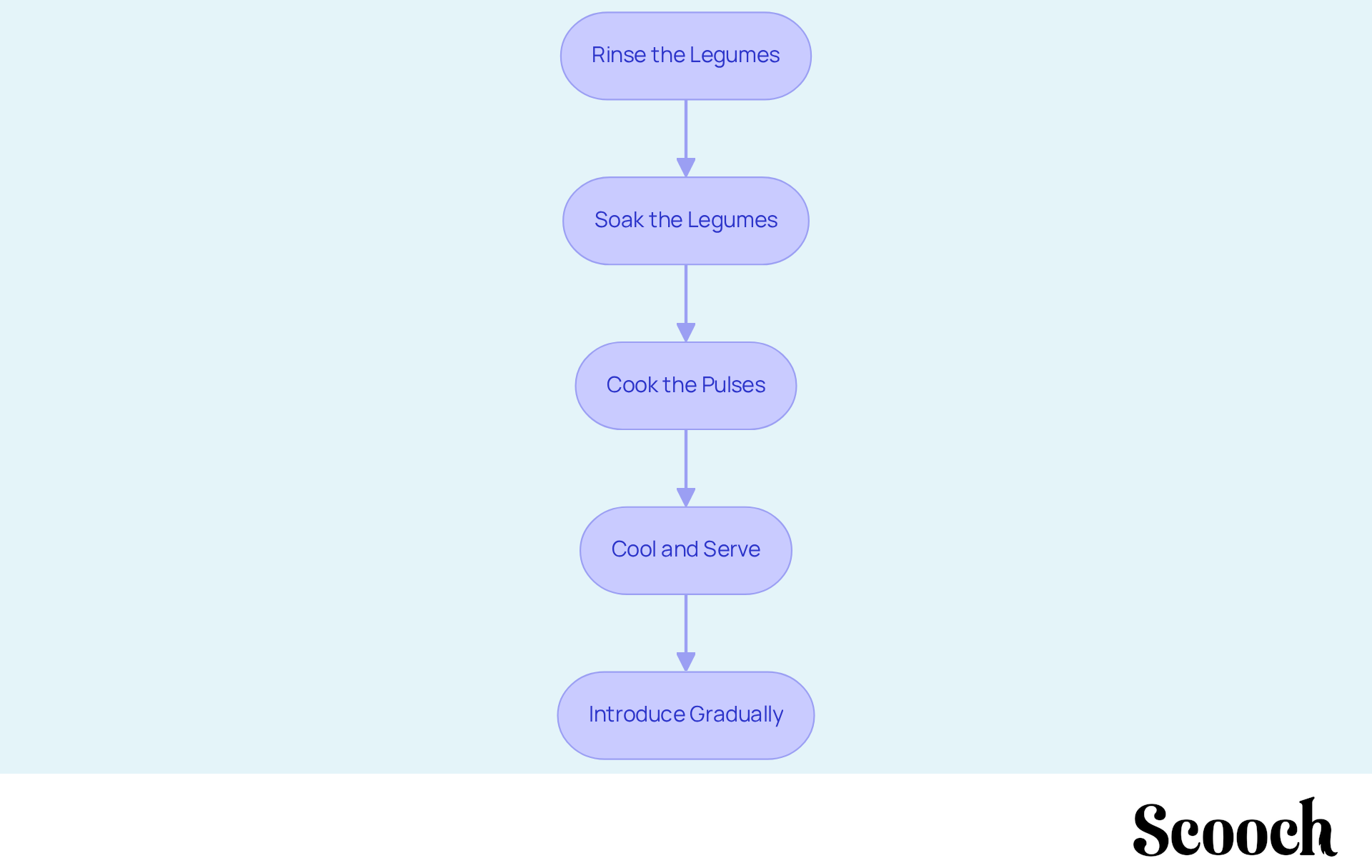 Each box shows a step in preparing lentils — follow the arrows to see how to go from rinsing to serving your furry friend!