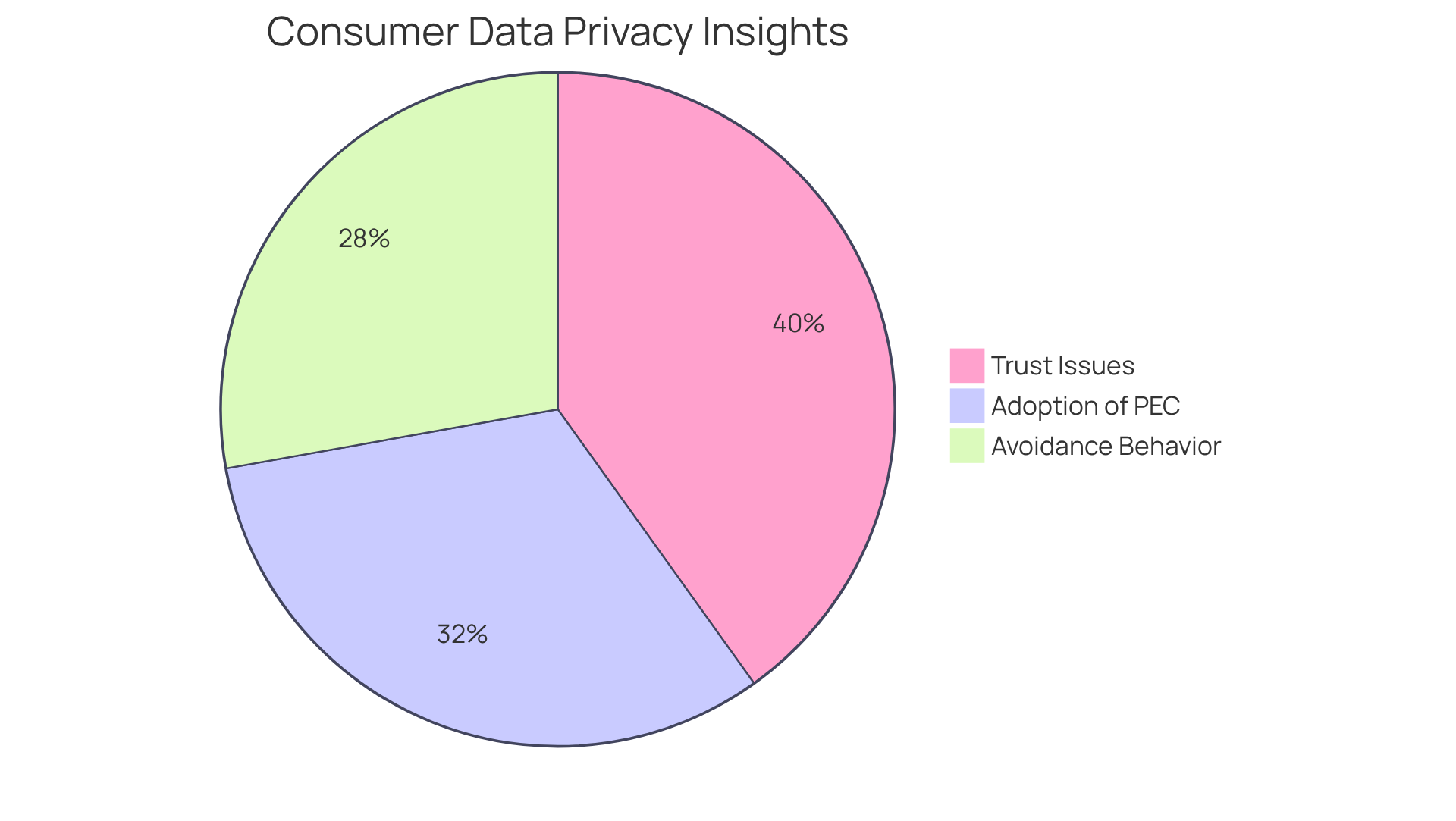 Each slice represents a key statistic about consumer behavior regarding data privacy - the larger the slice, the more significant the concern or action taken by consumers.