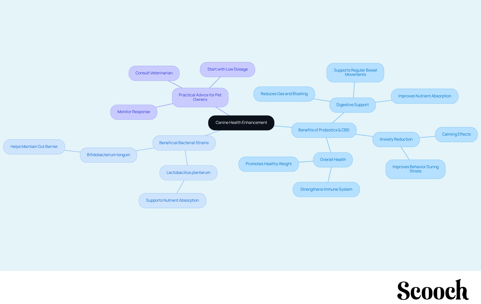 The center represents the overall goal of enhancing dog health, and branches show how probiotics and CBD contribute, including specific bacteria and tips for responsible use. The center represents the overall goal of enhancing dog health, and branches show how probiotics and CBD contribute, including specific bacteria and tips for responsible use.