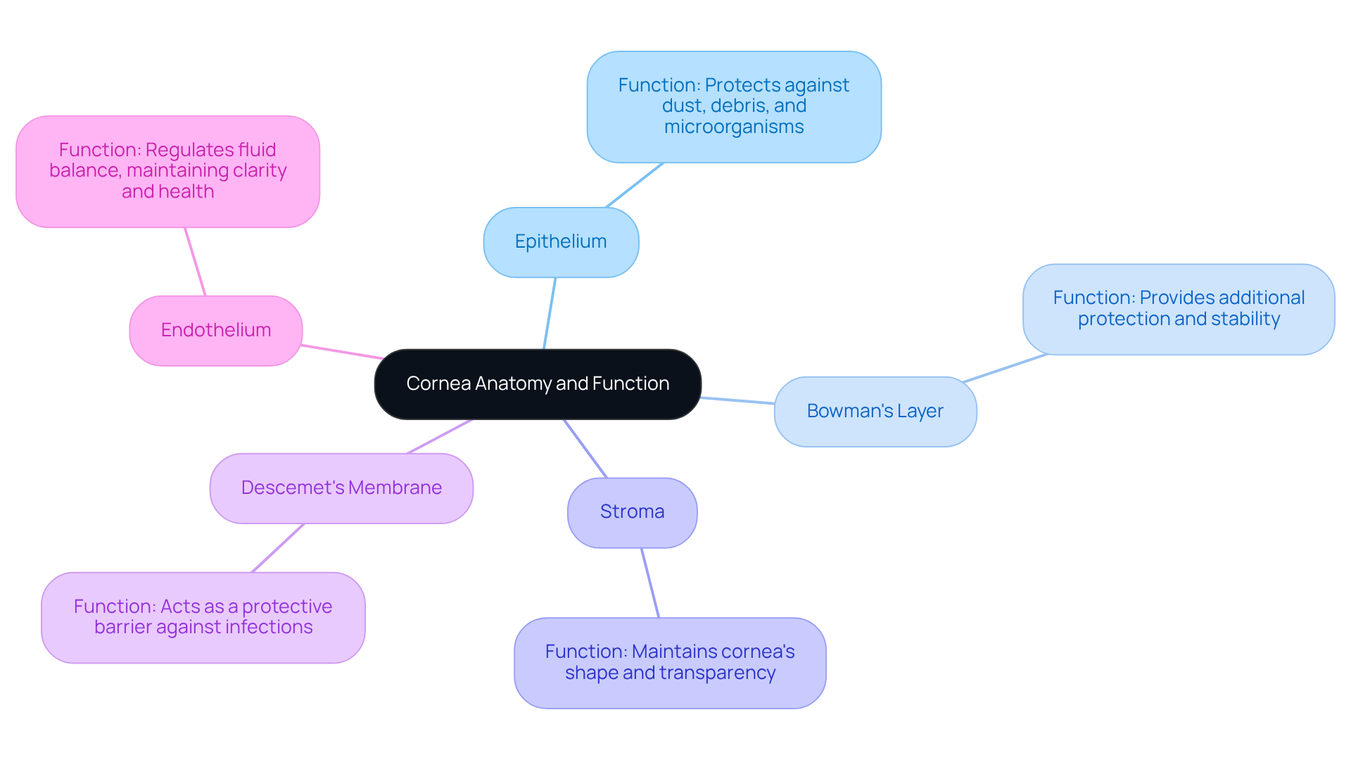 This mindmap starts with the cornea at the center, branching out to show its five layers. Each layer has its own function, helping you see how they all work together to protect your eye and maintain your vision.