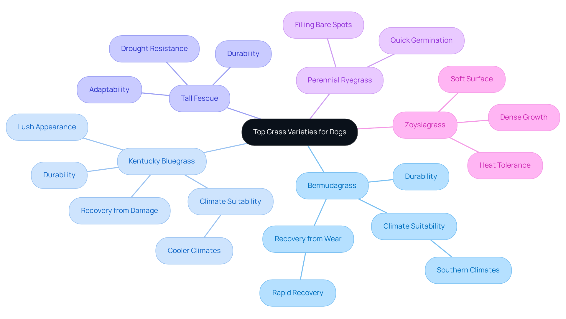 The central node represents the main topic, while each branch highlights a specific grass type. The sub-branches provide details about each variety's strengths and suitability for active dogs. The central node represents the main topic, while each branch highlights a specific grass type. The sub-branches provide details about each variety's strengths and suitability for active dogs.