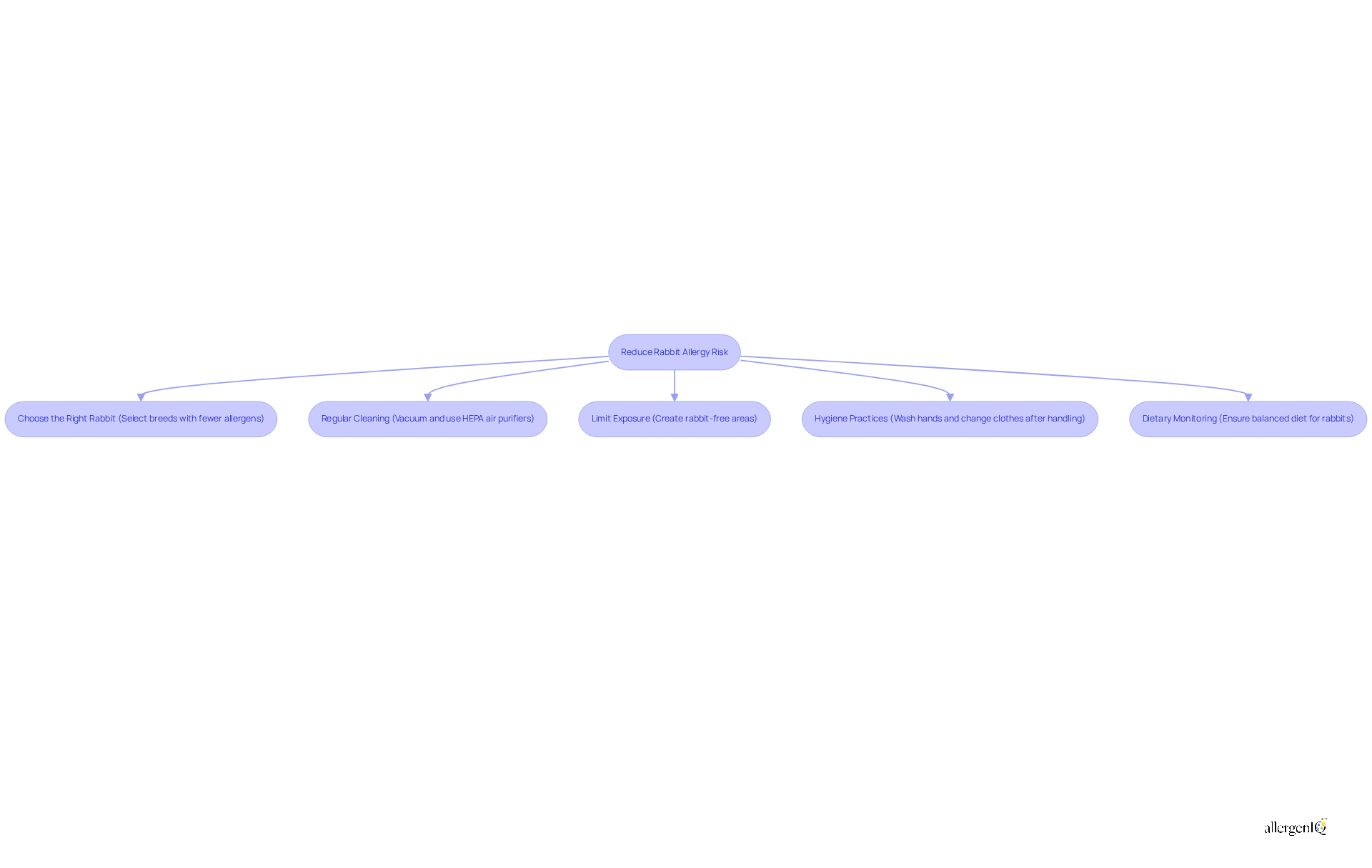 Each box represents a strategy you can take to lower the risk of rabbit allergies. Follow the arrows to see how these actions connect to the main goal of reducing allergy reactions.