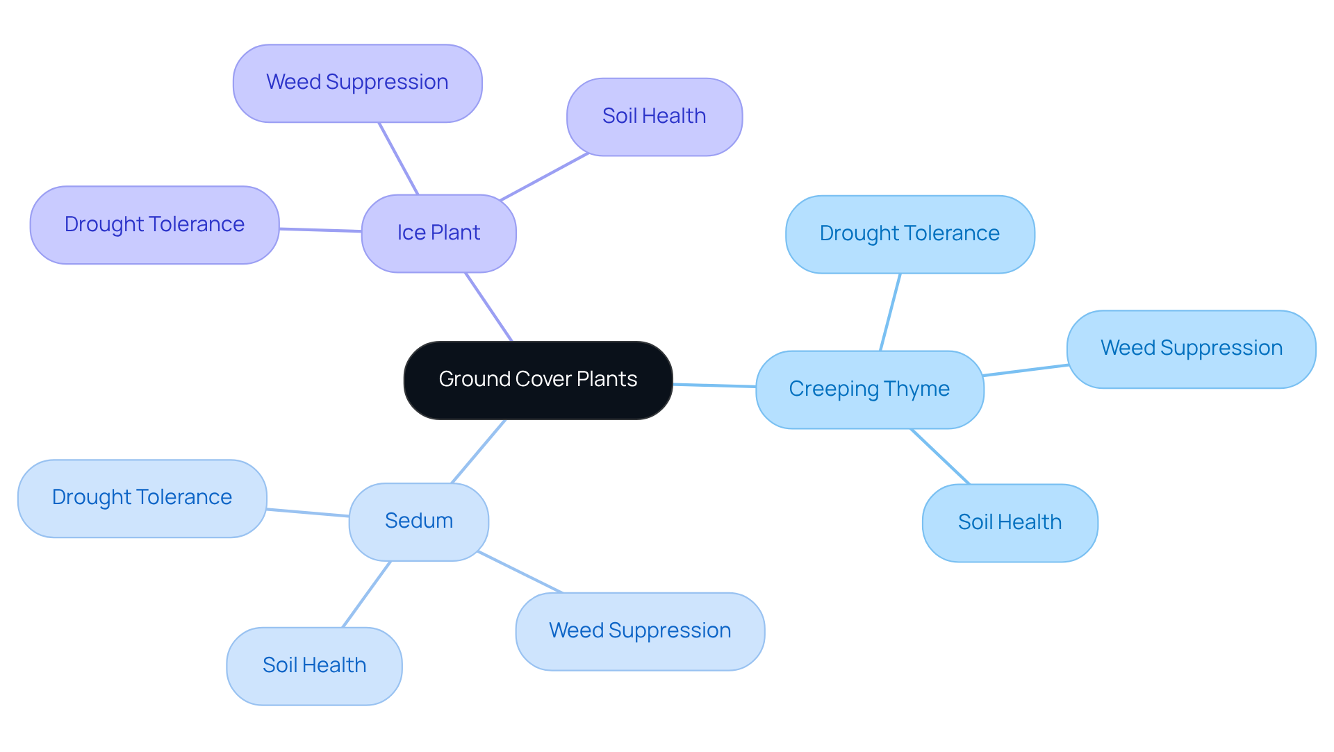 This mindmap starts with the main idea of ground cover plants at the center. Each branch represents a specific type of plant, and the sub-branches highlight their unique benefits. Follow the branches to see how these plants contribute to a lush, low-maintenance yard.