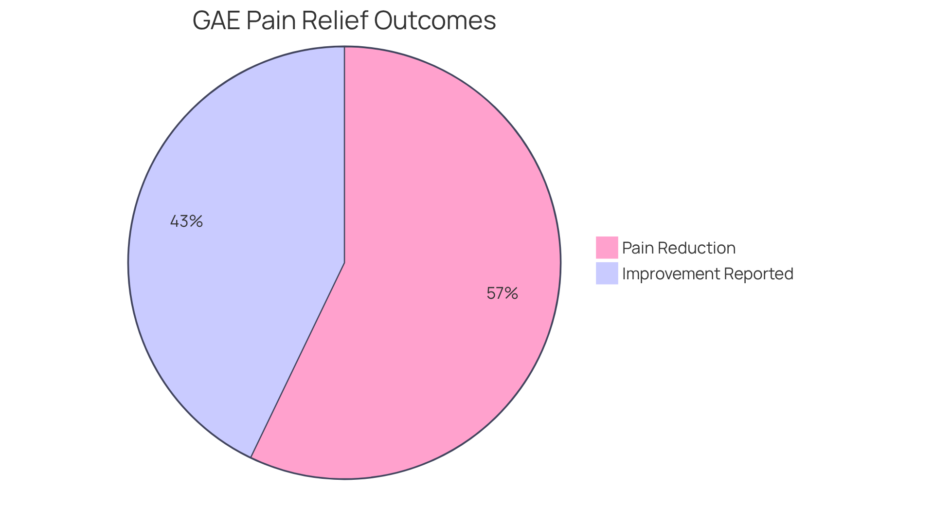 The blue slice shows the percentage of pain reduction experienced by osteoarthritis patients after GAE, while the green slice represents the percentage of participants who reported significant improvements in knee discomfort one year after the procedure.