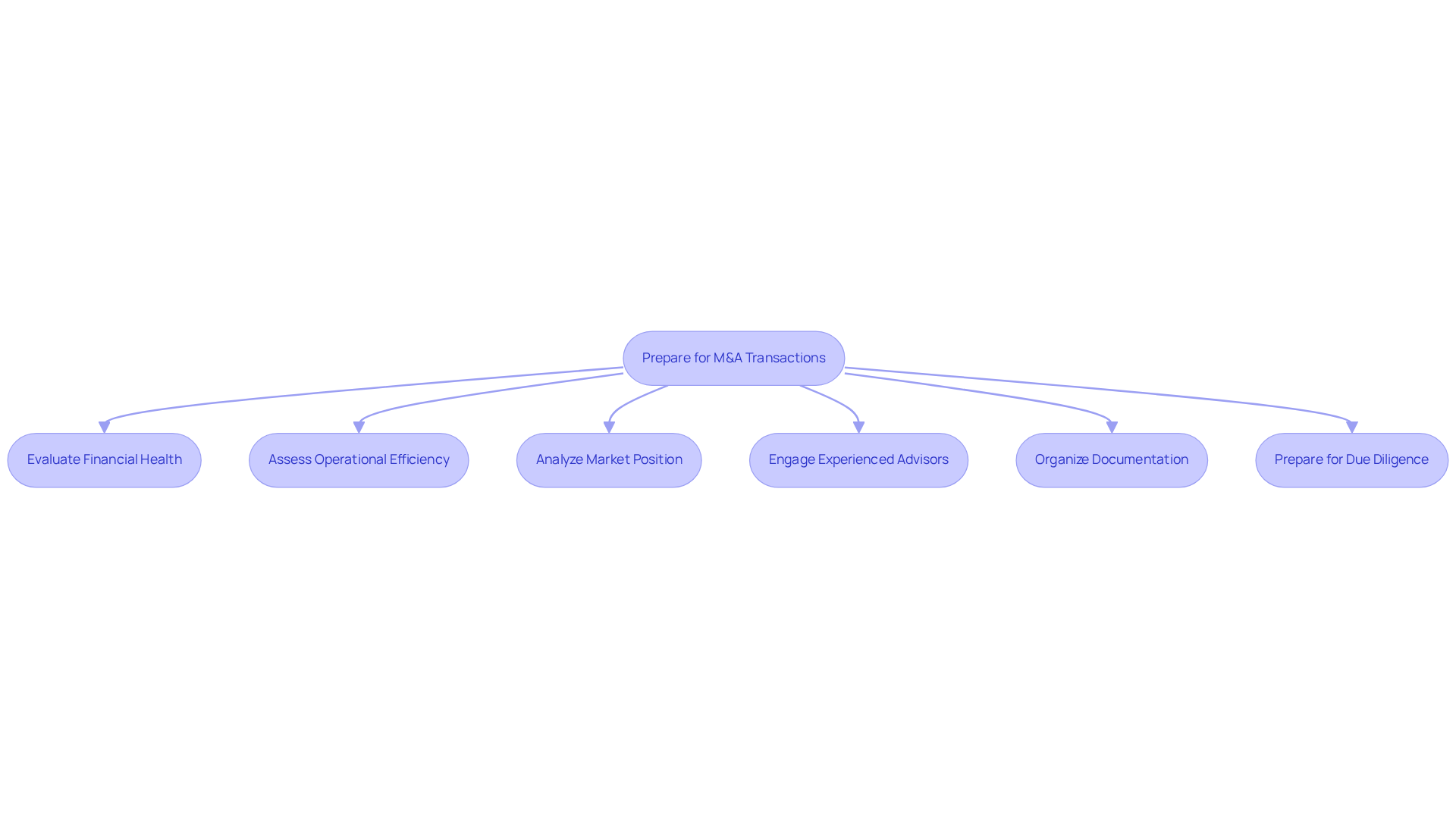 This flowchart shows the essential steps tech CEOs should take to prepare for M&A transactions. Follow the arrows to see how each step connects to the next, guiding you through the preparation process.