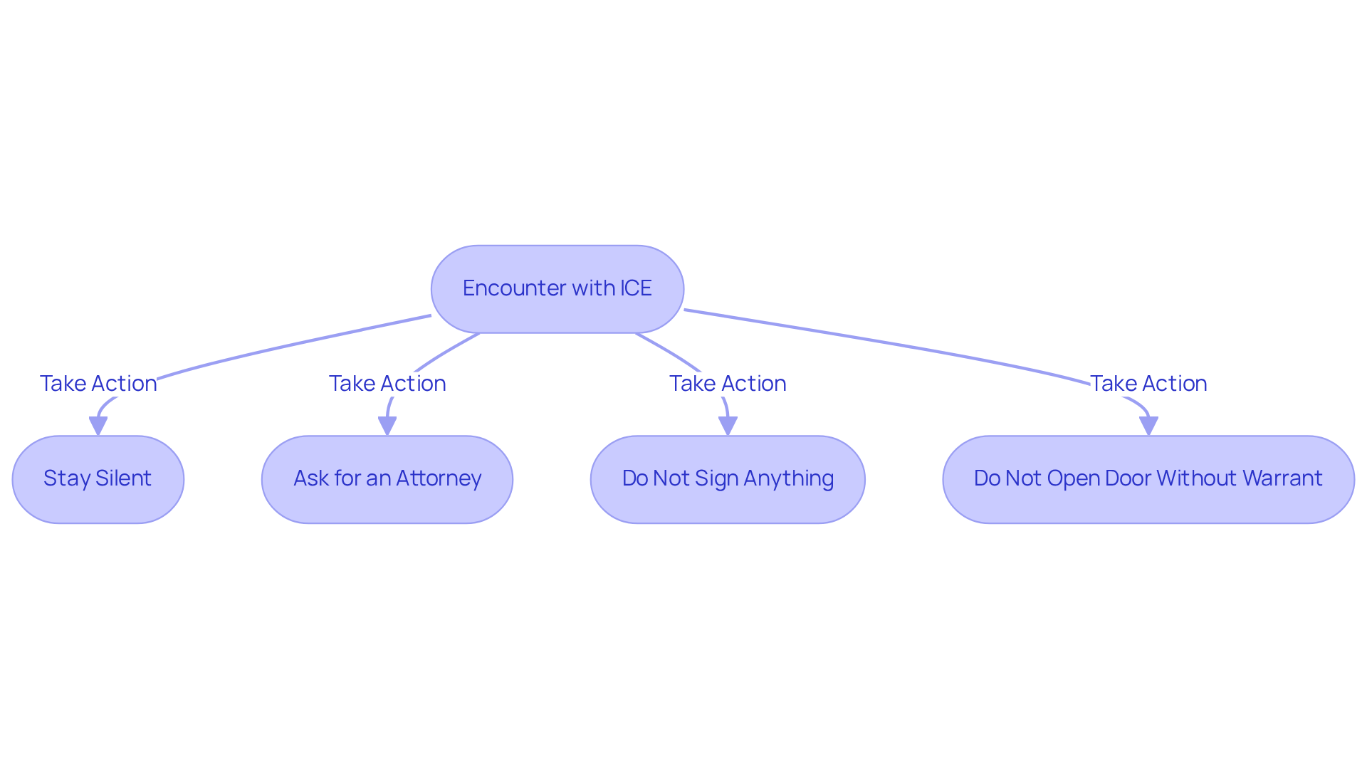 This flowchart guides you through the steps to take if you encounter ICE. Each box represents an important action to remember, helping you stay informed and prepared.