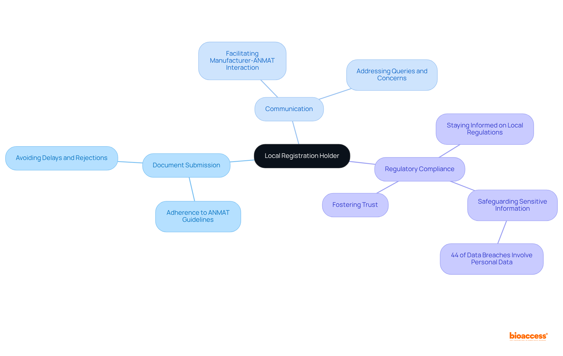 The center represents the local registration holder, with branches showing their key responsibilities. Each branch breaks down further into specific actions that highlight the importance of their role in the submission process.