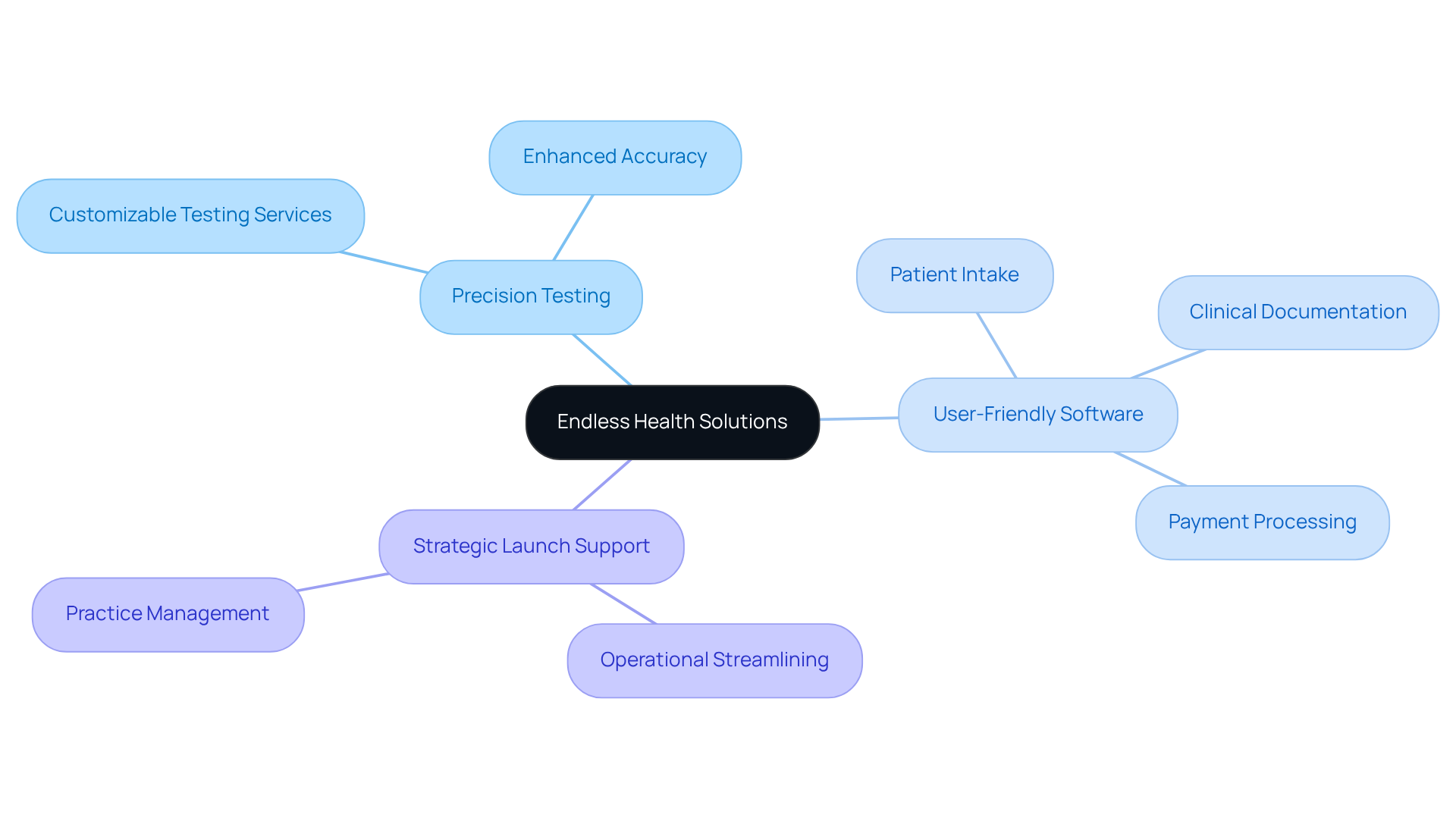 The central node represents Endless Health's comprehensive solutions, while the branches show the key components and their specific functions. Each color-coded branch helps you see how these elements work together to improve health practices.