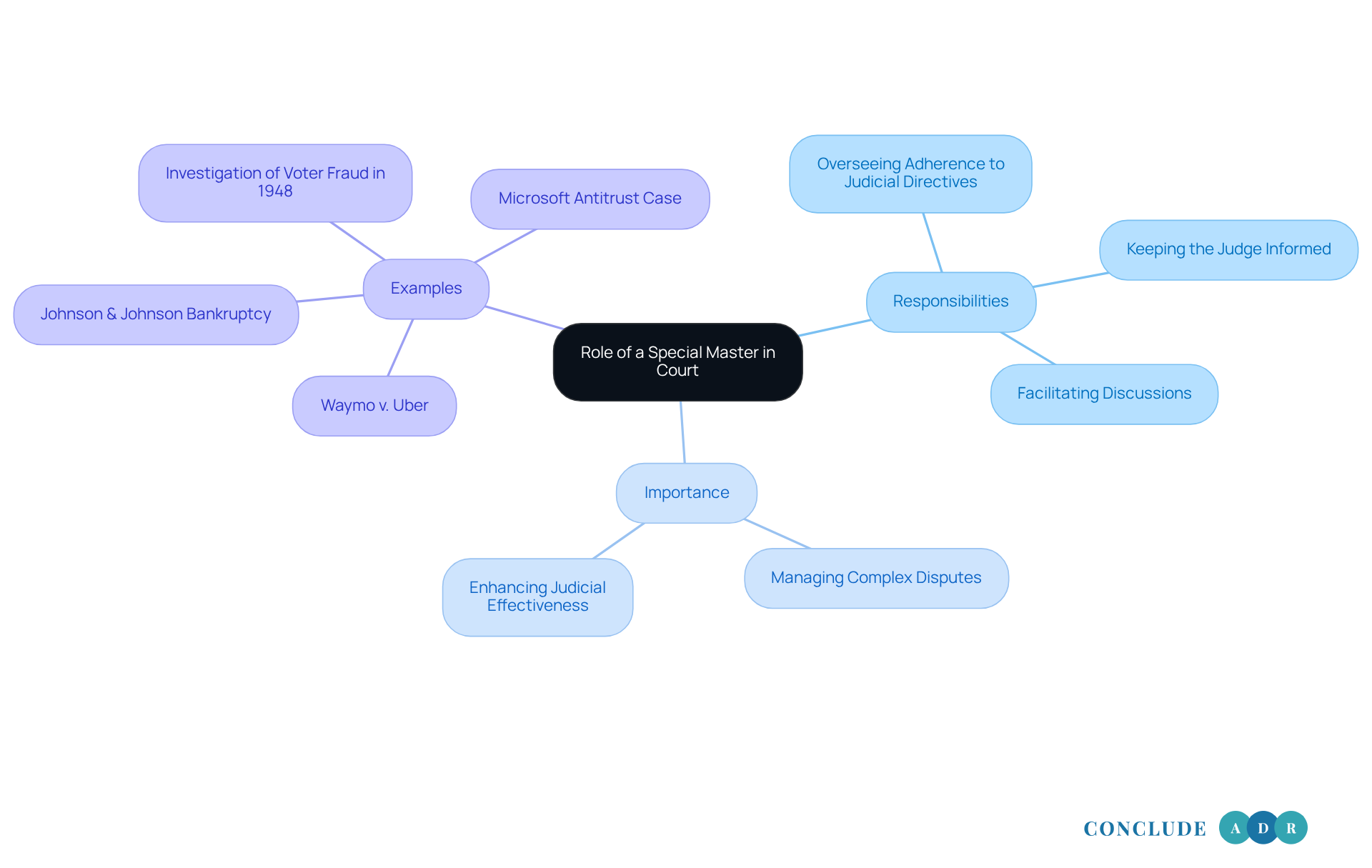 Understanding the Special Master in Court: Roles and Responsibilities