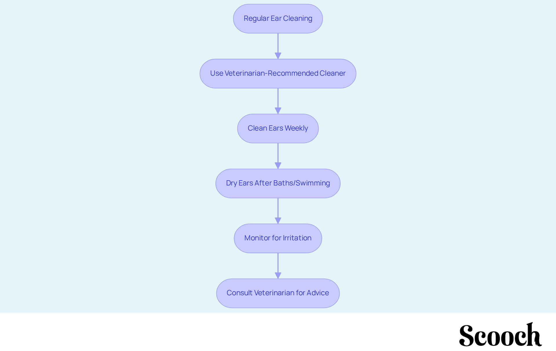 Follow the arrows to see the steps you should take for keeping your dog's ears healthy. Each step is important for preventing yeast infections and ensuring your furry friend stays comfortable.