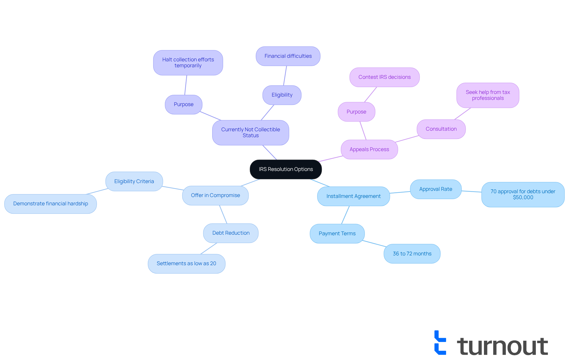 The central node shows the main topic, while the branches represent different resolution options. Each branch contains important details to help you understand what each option offers.