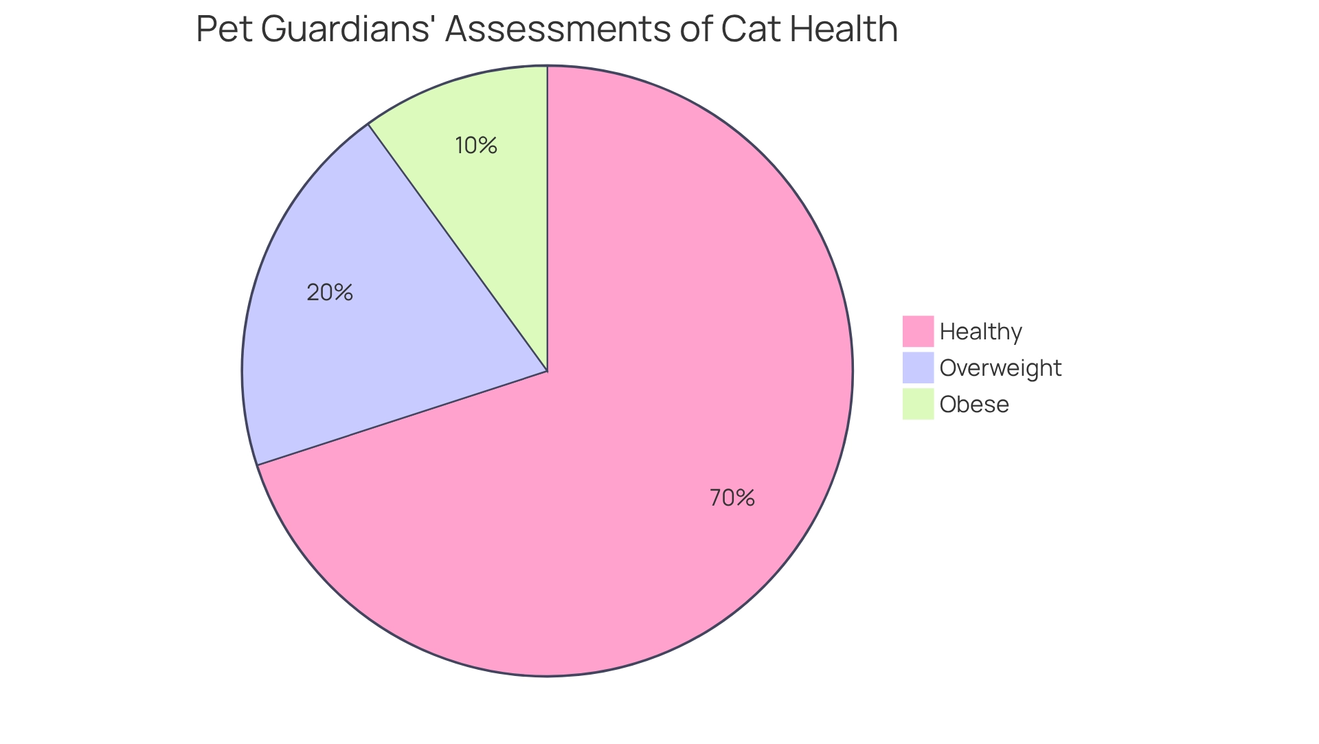 Each slice represents how pet guardians view their cats' health. A larger slice means more guardians assess their pets as healthy, showing the importance of keeping our pets active to prevent health issues. Each slice represents how pet guardians view their cats' health. A larger slice means more guardians assess their pets as healthy, showing the importance of keeping our pets active to prevent health issues.