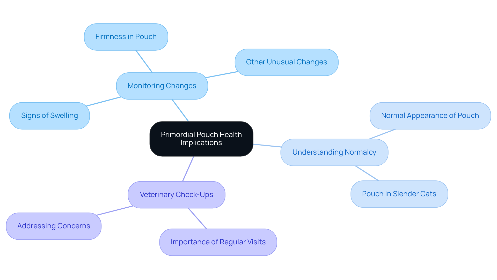The central node represents the overall topic, while each branch dives into specific areas of concern or action regarding your cat's primordial pouch. This helps you understand what to look for and when to seek help. The central node represents the overall topic, while each branch dives into specific areas of concern or action regarding your cat's primordial pouch. This helps you understand what to look for and when to seek help.