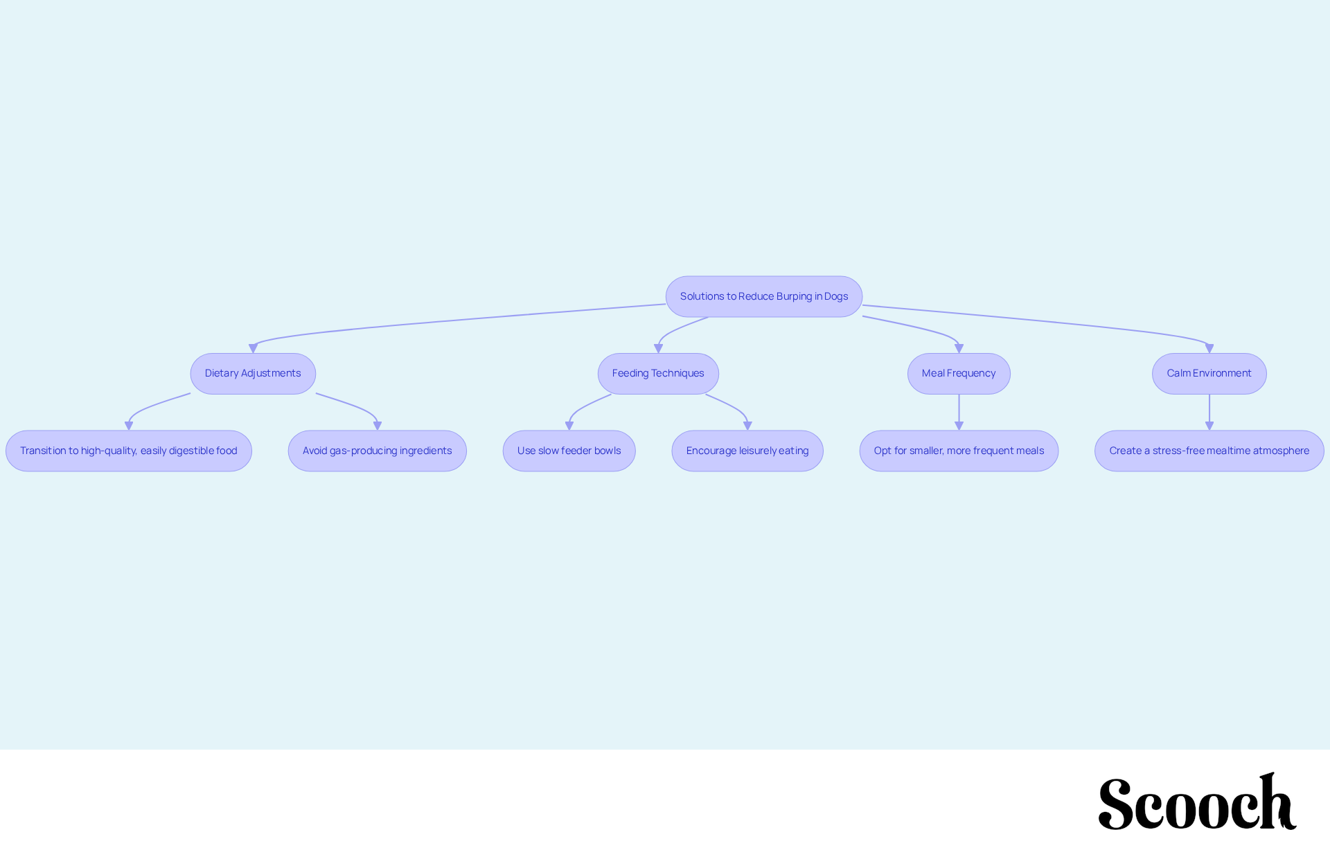 Each box represents a method to help your dog burp less. Follow the arrows to see how these solutions connect to the main goal of improving your dog's digestive health. Each box represents a method to help your dog burp less. Follow the arrows to see how these solutions connect to the main goal of improving your dog's digestive health.