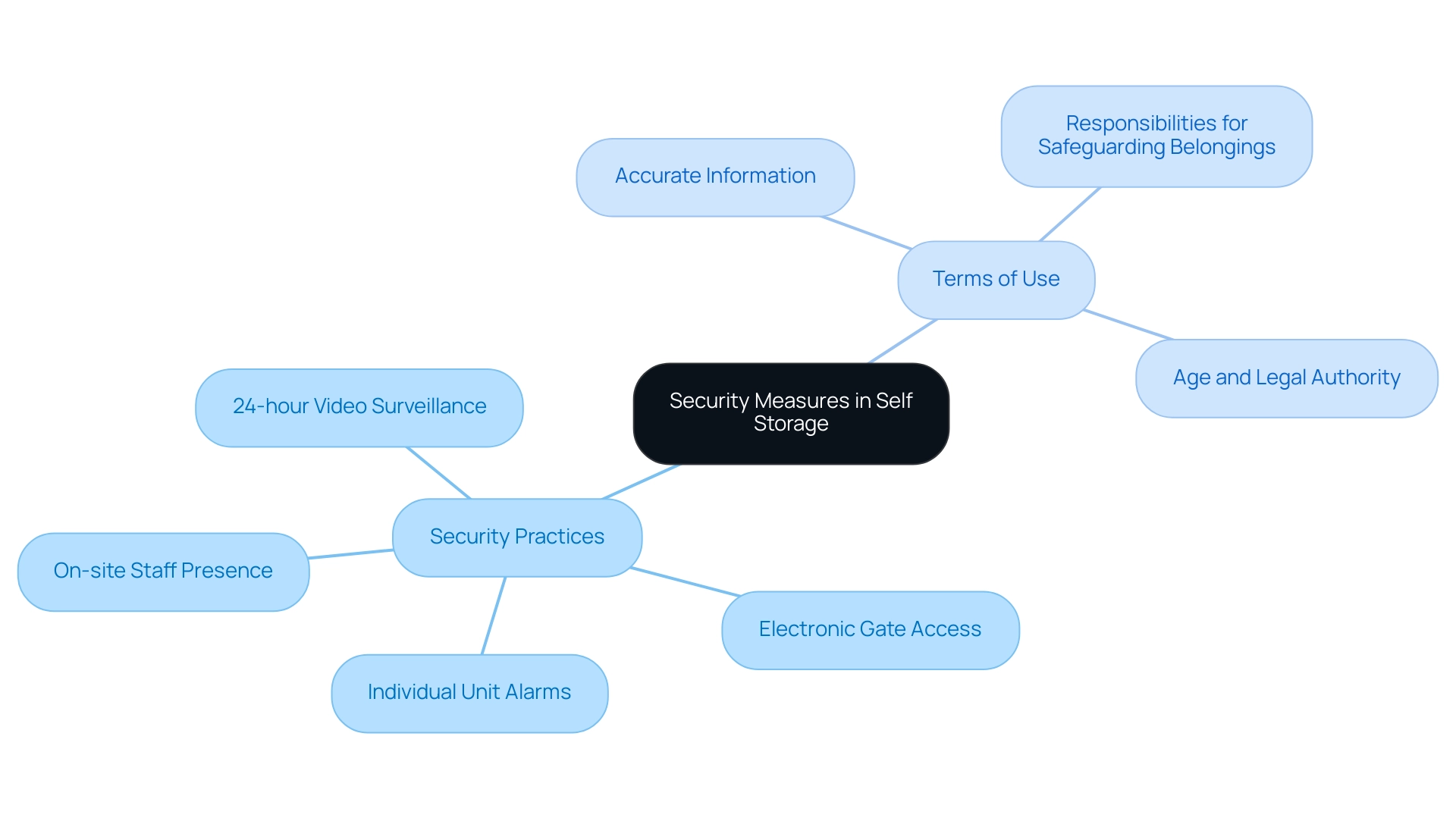 The central node represents overall security measures, with branches showing specific practices and compliance terms related to self-storage.