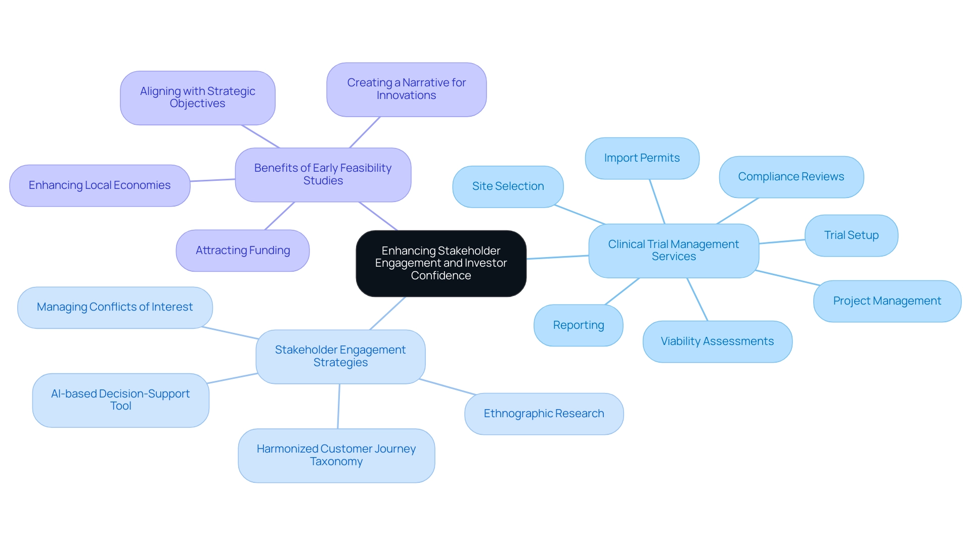 The central node represents the main theme, branches indicate key categories, and sub-branches detail specific services and strategies.