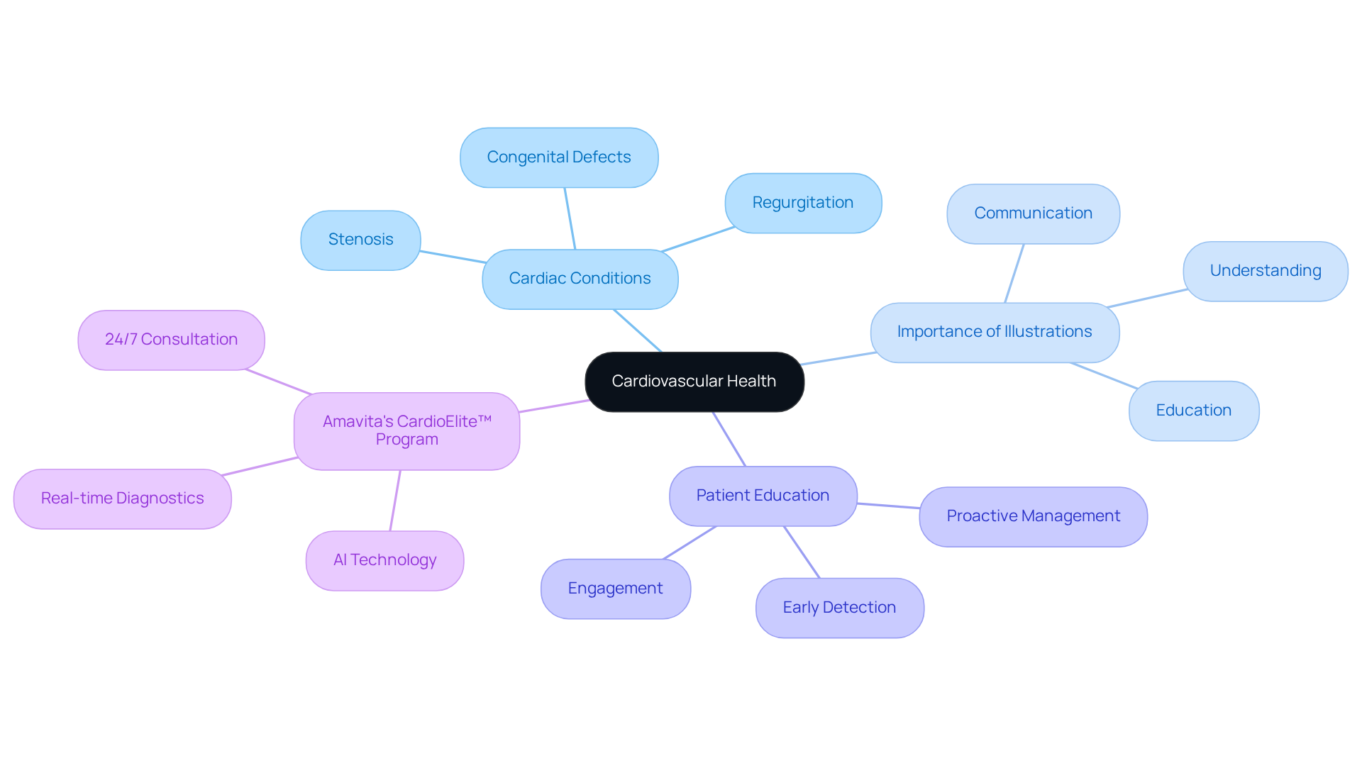 The central node represents overall cardiovascular health, with branches showing various cardiac conditions, educational tools, and programs that help patients understand and manage their heart health.