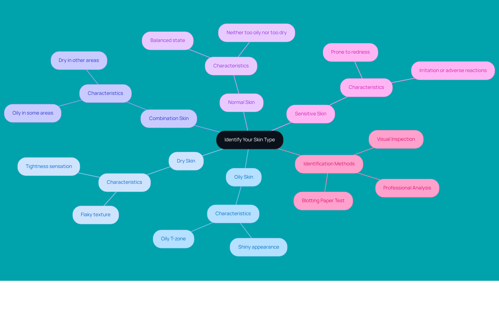 The center represents the overall topic of skin types. Each branch shows a different skin type with its unique traits, while another section lists ways to identify these skin types. Colors help distinguish between the types and methods, making it easier to follow along.