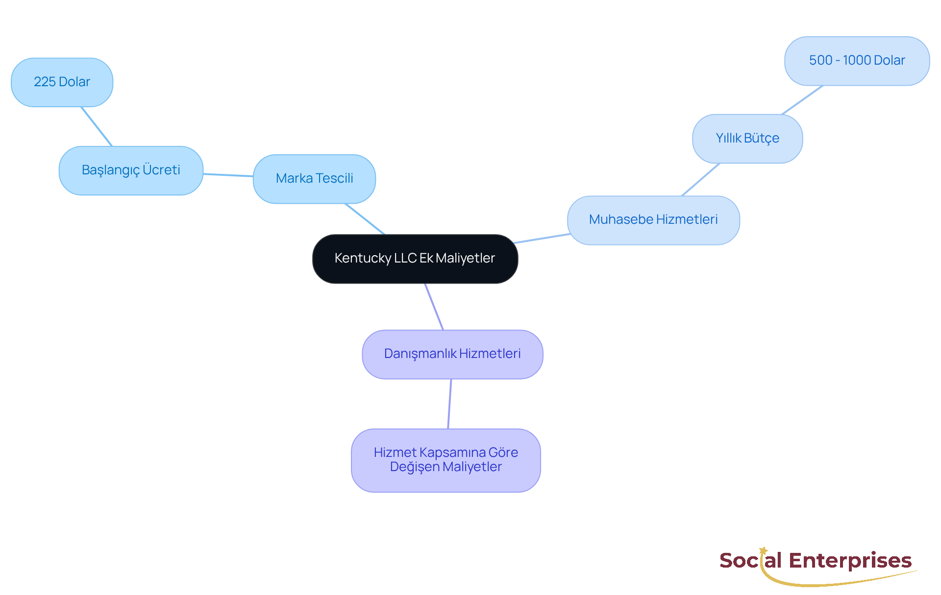 Merkezdeki başlık, Kentucky LLC'nin ek maliyetlerini temsil eder. Dallar, bu maliyet kalemlerinin her birini ve ilgili bilgileri gösterir — her bir dalda o maliyetin ne kadar önemli olduğunu anlayabilirsiniz.