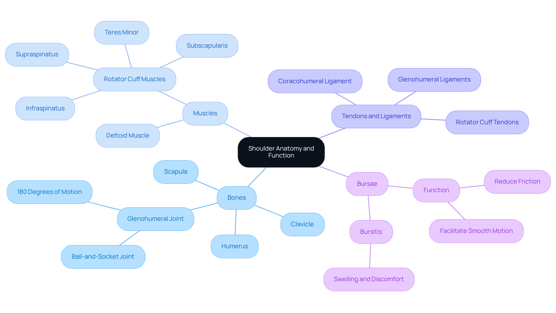 The central node represents the overall topic of shoulder anatomy. Each branch shows a key component, and the sub-branches provide more details about each part's role and importance in joint function.
