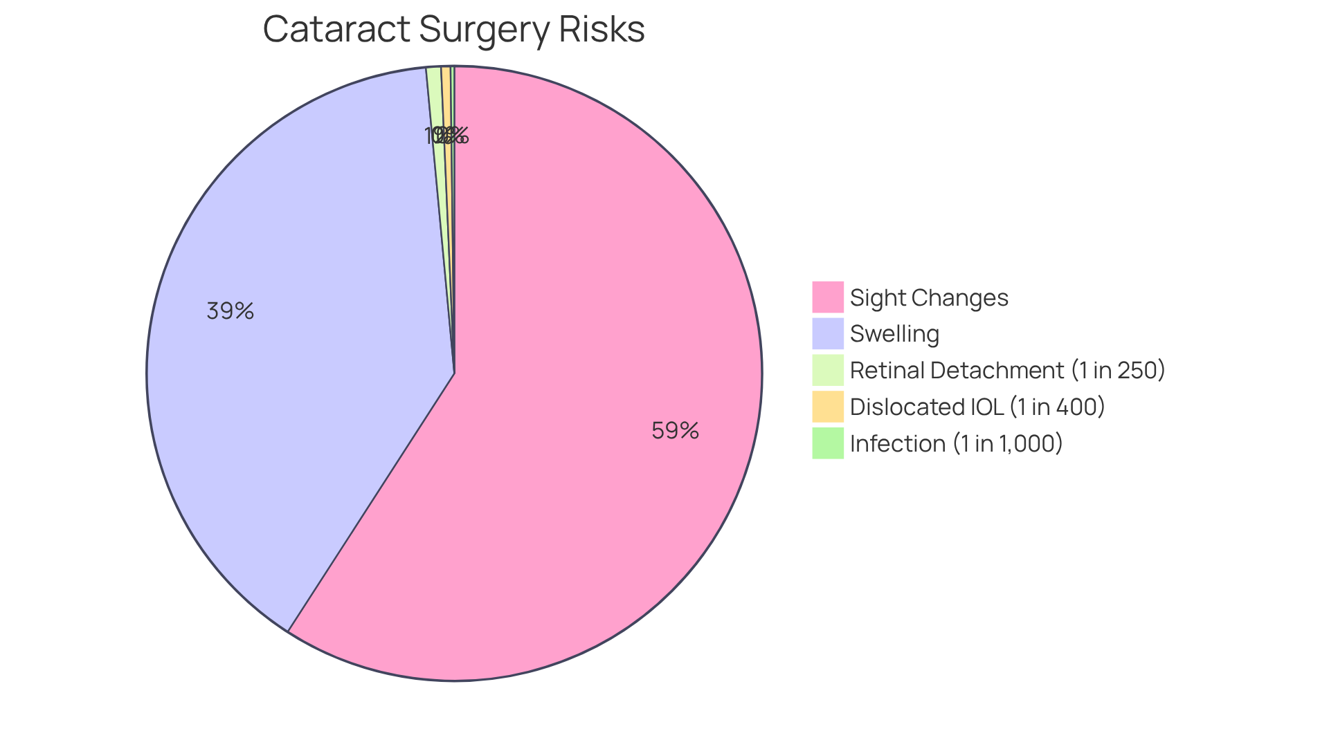 This pie chart shows the different risks associated with cataract surgery. Each slice represents a specific complication, with the size of the slice indicating how common that risk is. For example, a larger slice means a higher likelihood of that complication occurring. This pie chart shows the different risks associated with cataract surgery. Each slice represents a specific complication, with the size of the slice indicating how common that risk is. For example, a larger slice means a higher likelihood of that complication occurring.