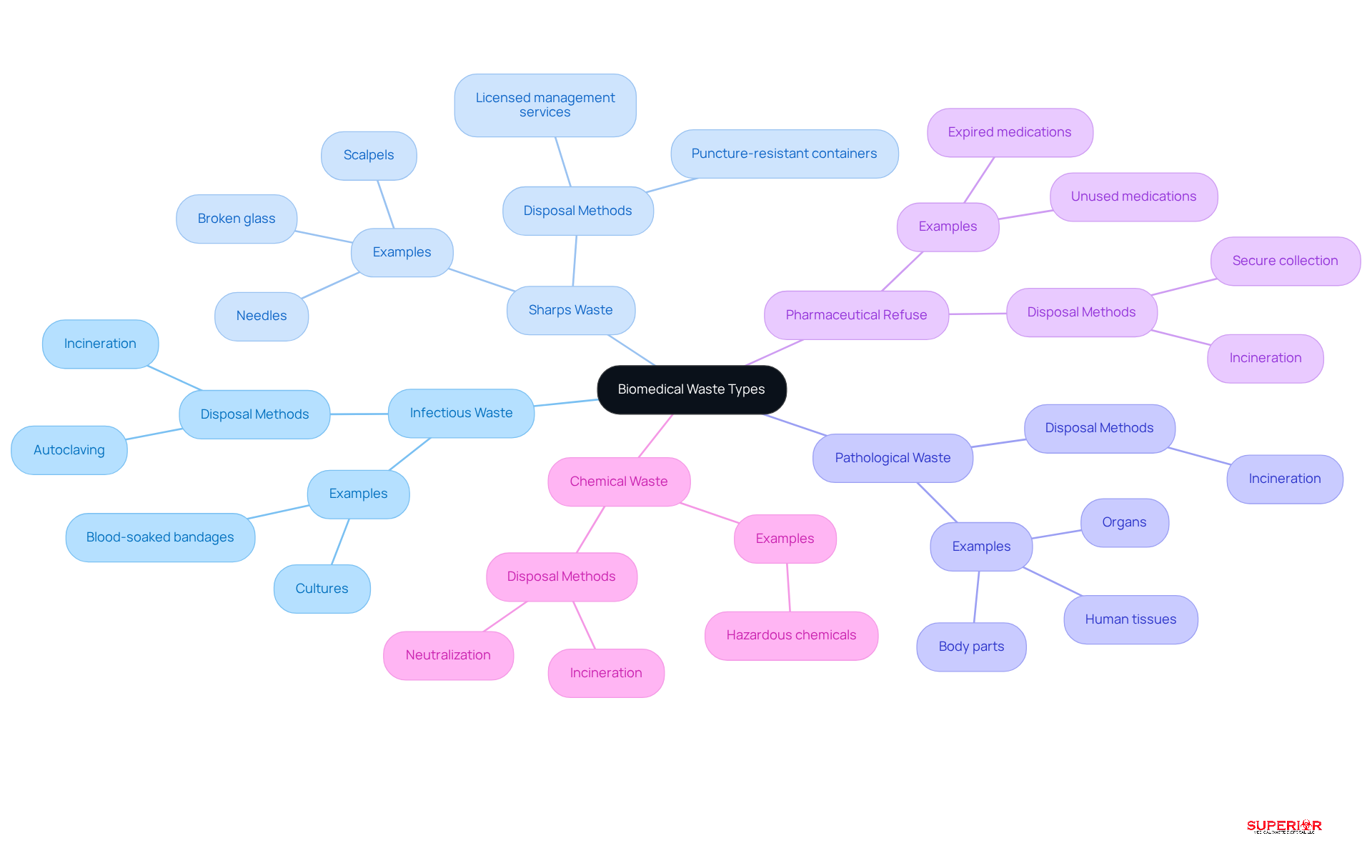 How to Dispose of Biomedical Waste: A Step-by-Step Guide for ...