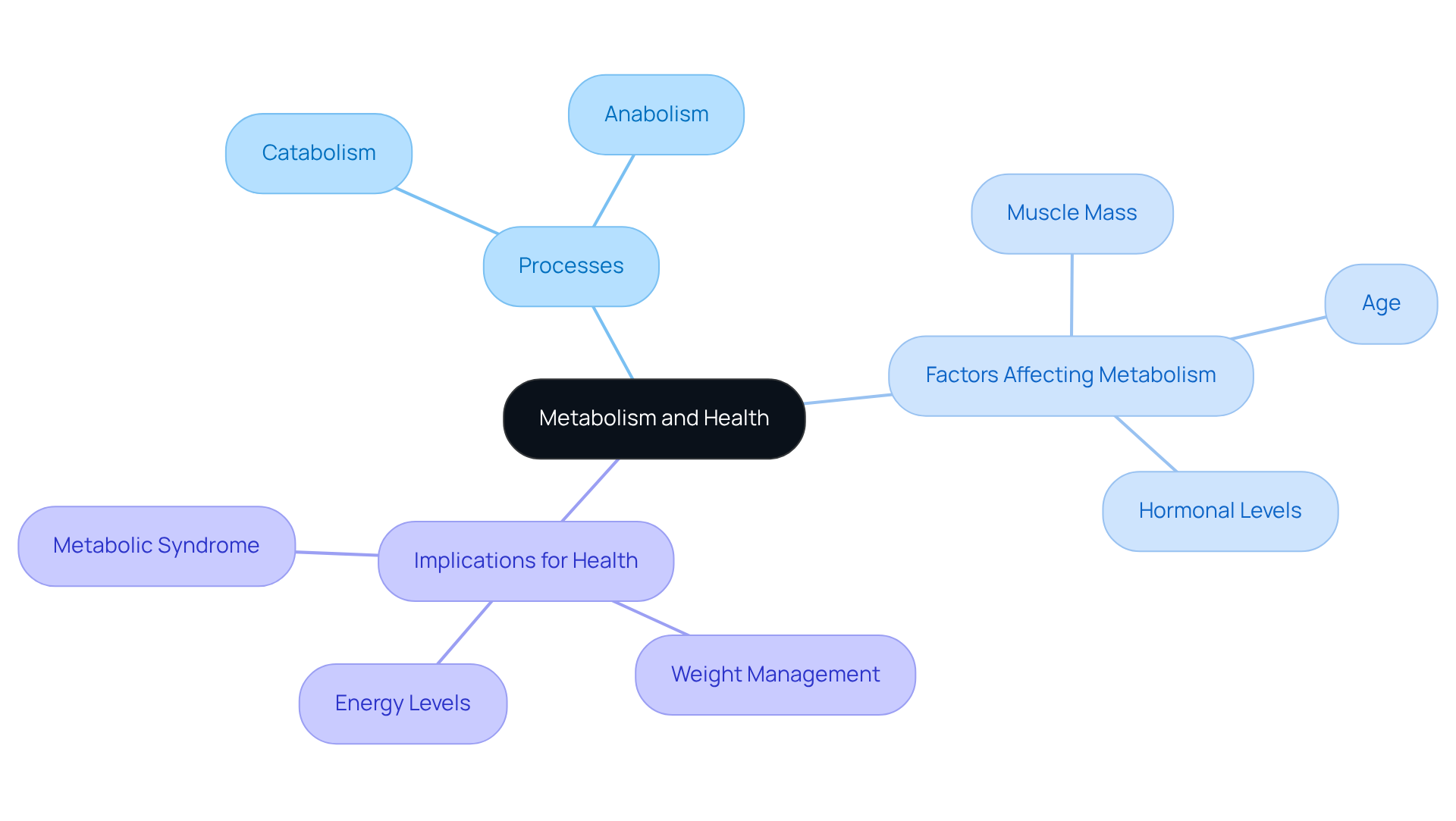 The central node represents metabolism, with branches showing its key processes, factors that influence it, and its importance for health. Each branch helps illustrate how these elements are interconnected.